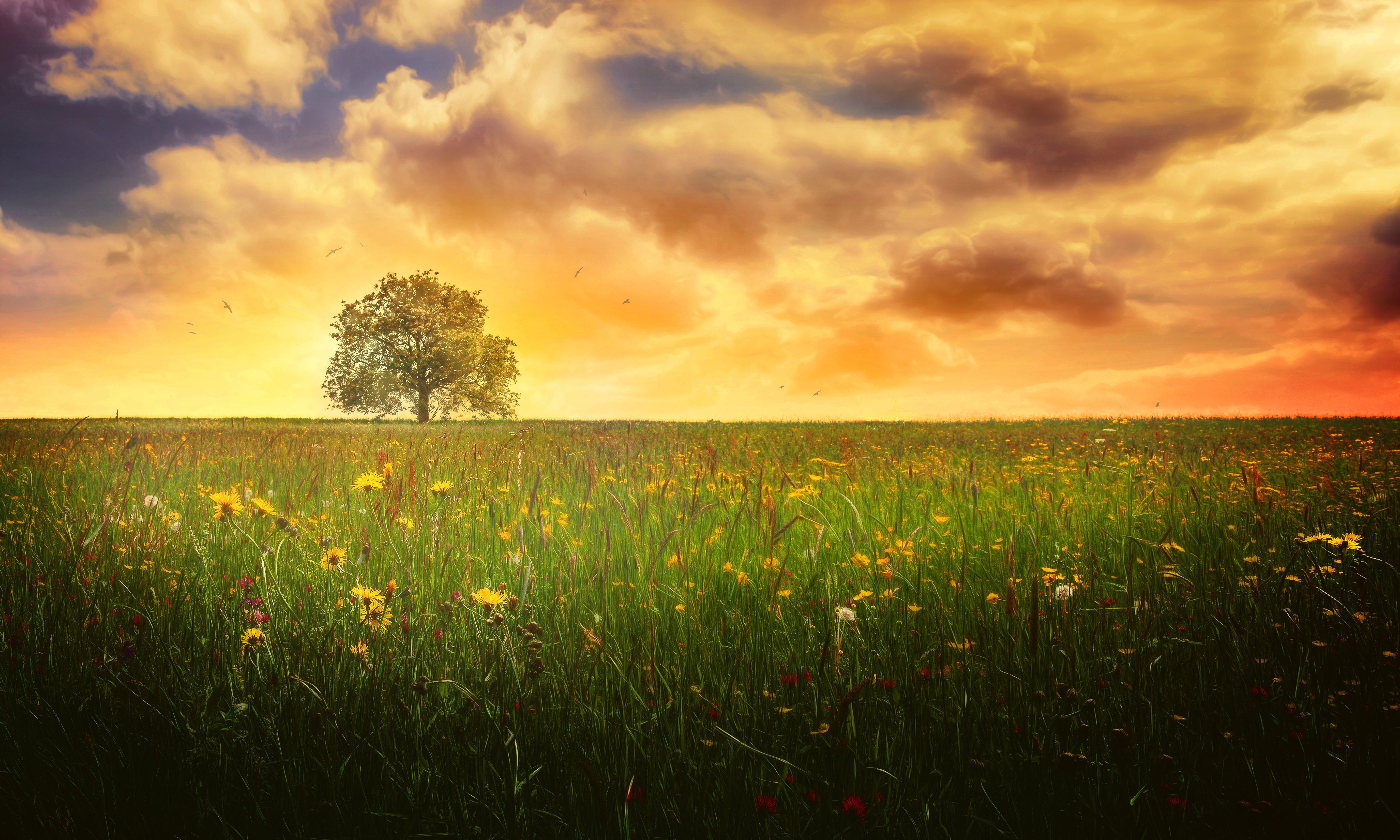 Lonely Landscape Wallpapers - Top Free Lonely Landscape Backgrounds ...