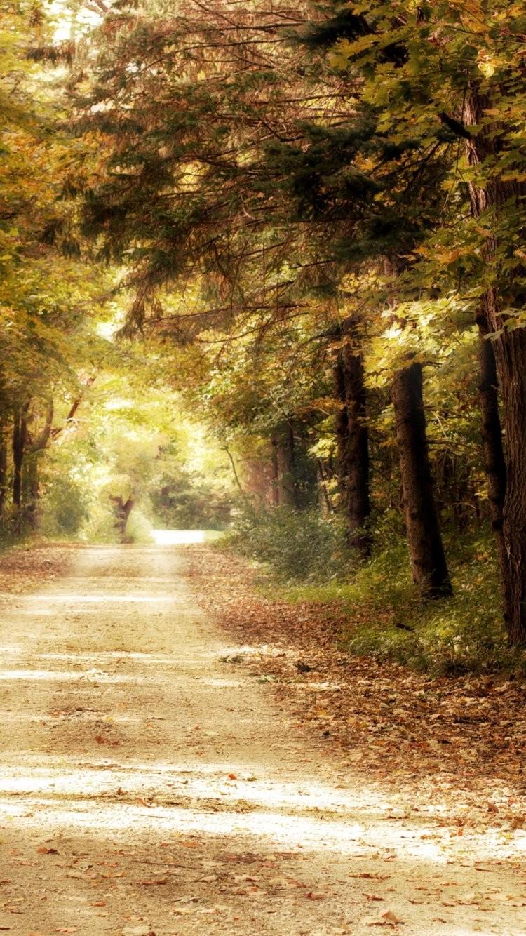 Nostalgic Phone Wallpapers - Top Free Nostalgic Phone Backgrounds ...