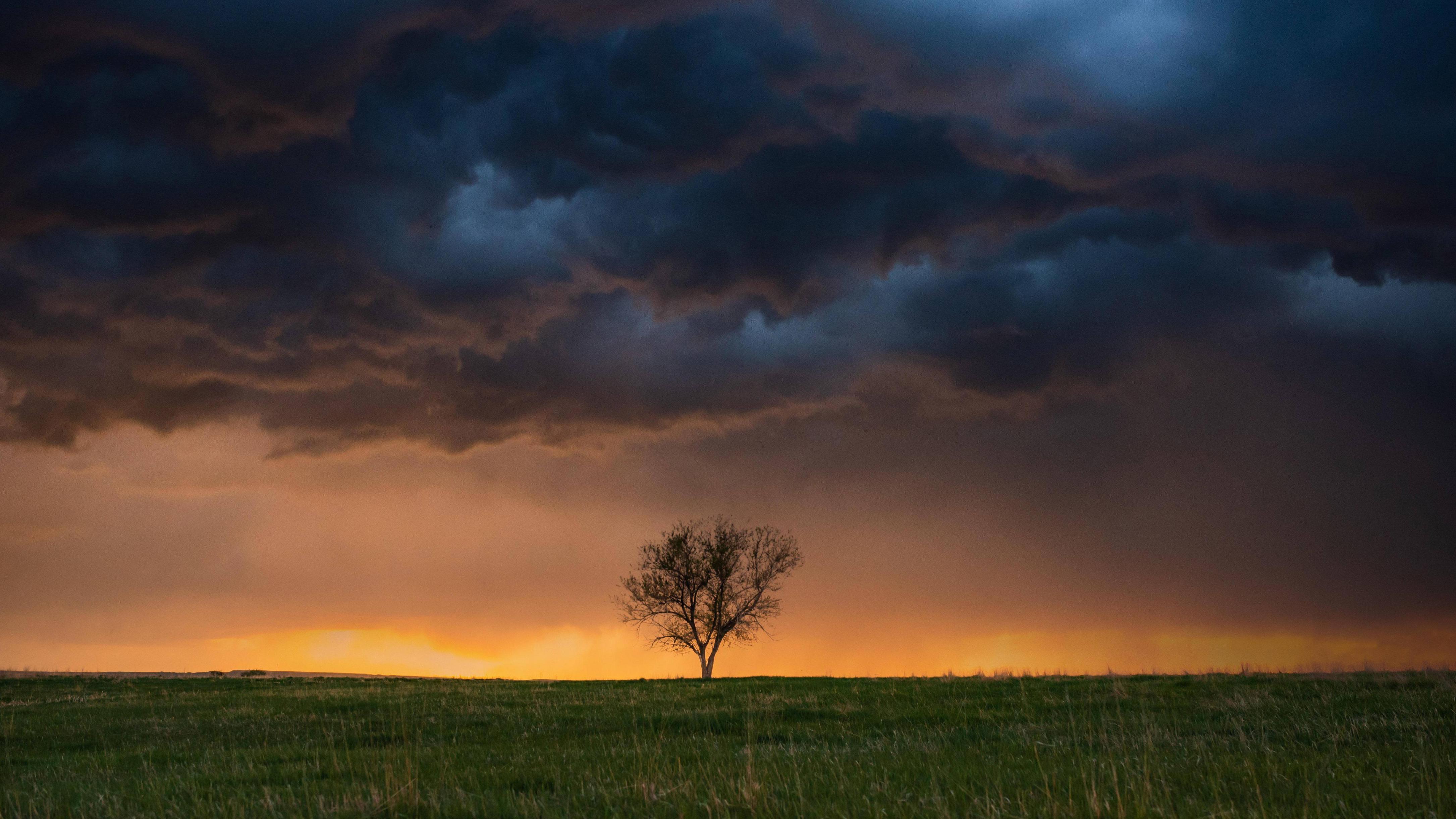 Tree Landscape Wallpapers - Top Free Tree Landscape Backgrounds ...