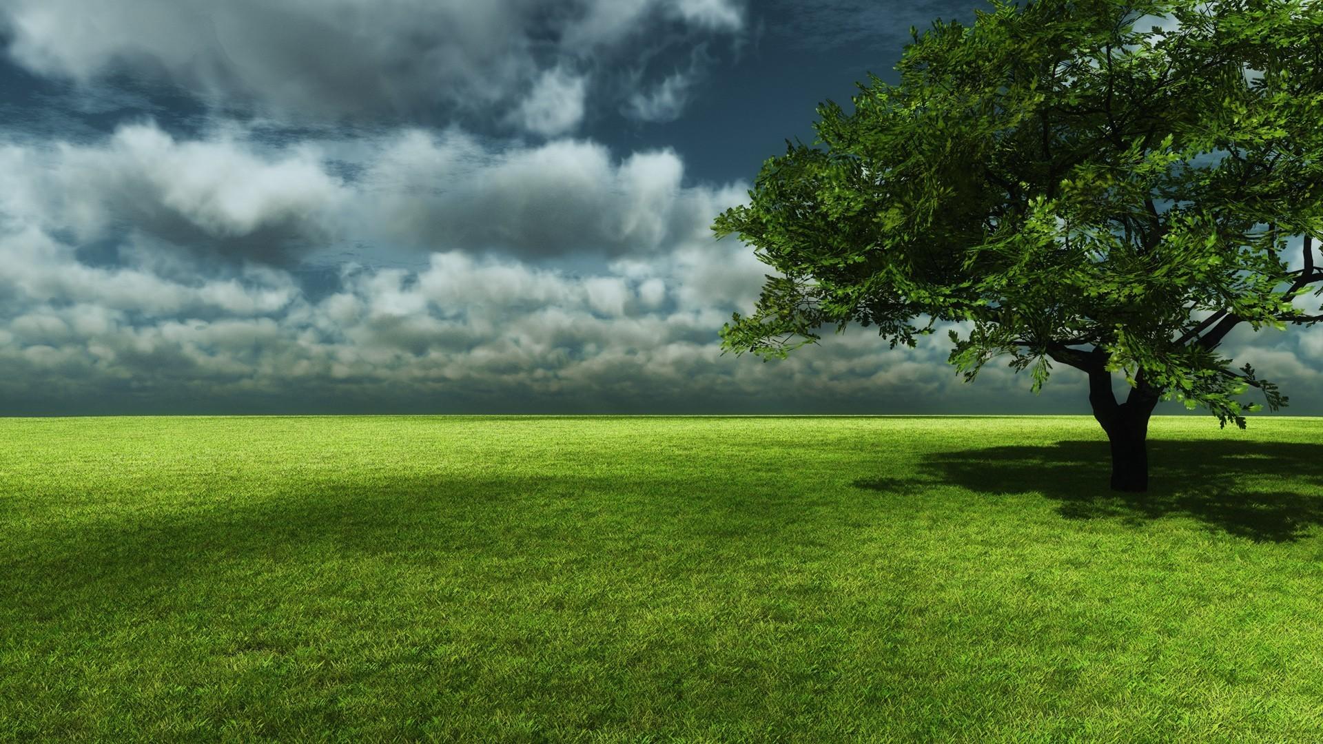 Tree Landscape Wallpapers - Top Free Tree Landscape Backgrounds ...