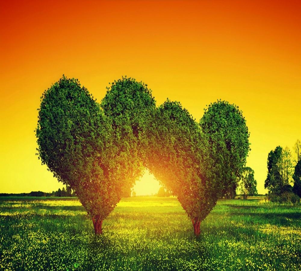 Tree Landscape Wallpapers - Top Free Tree Landscape Backgrounds ...