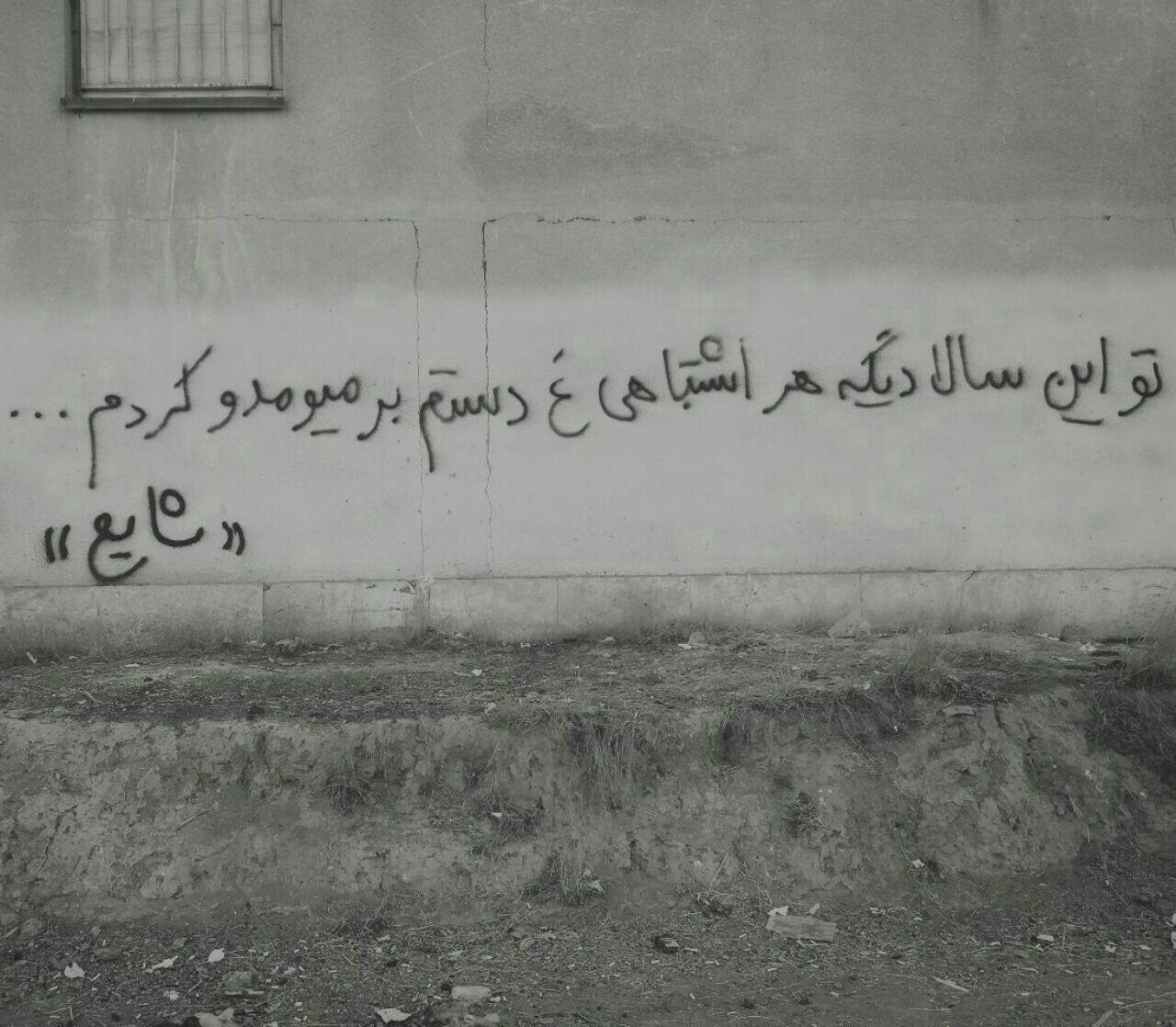 Shayea Wallpapers - Top Free Shayea Backgrounds - WallpaperAccess