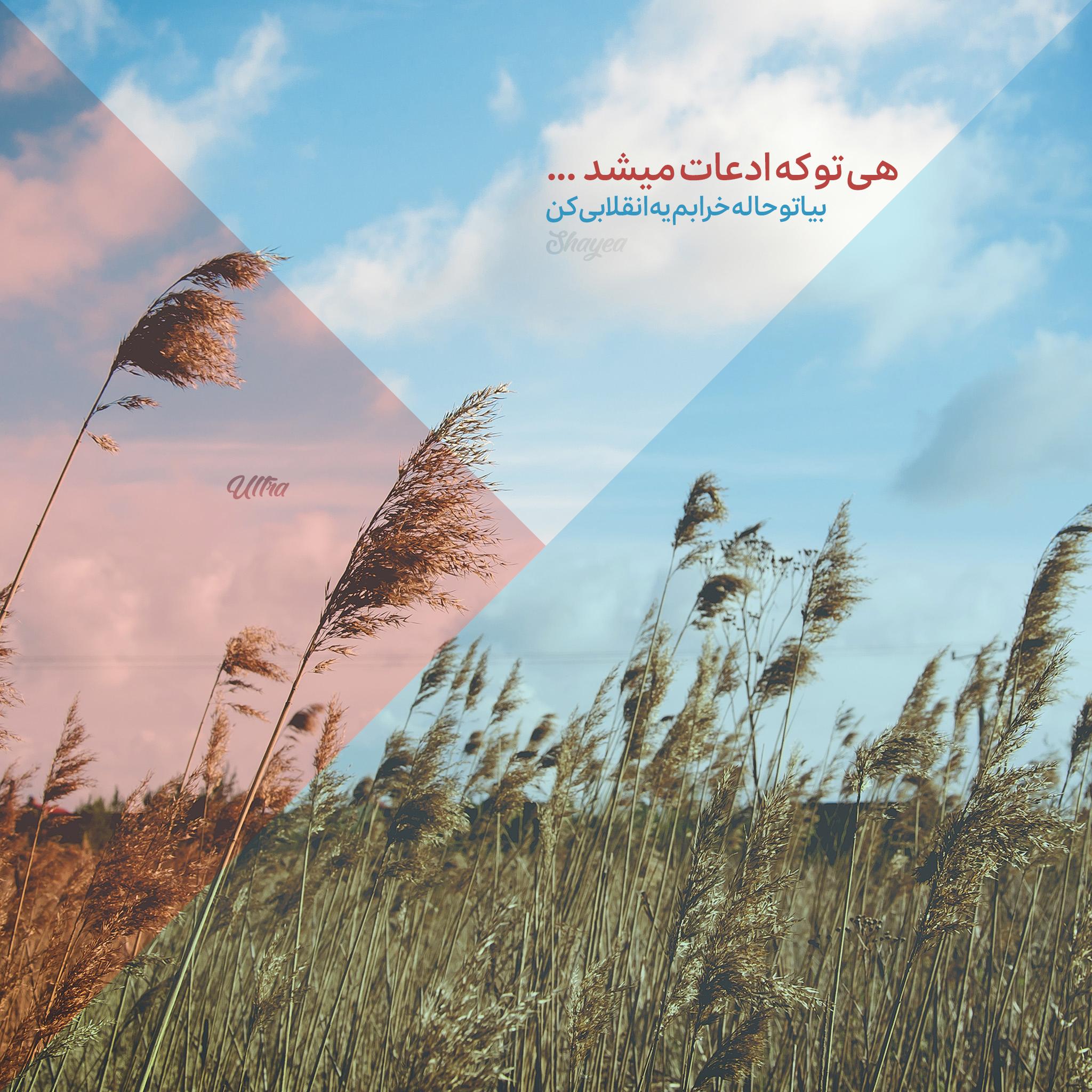 Shayea Wallpapers - Top Free Shayea Backgrounds - WallpaperAccess