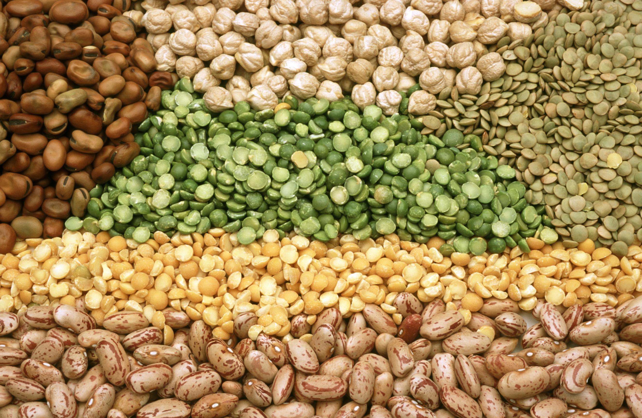 Legumes Wallpapers - Top Free Legumes Backgrounds - WallpaperAccess