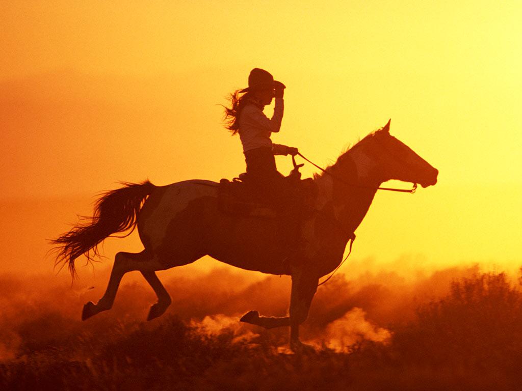 Country Cowboy Wallpapers - Top Free Country Cowboy Backgrounds ...