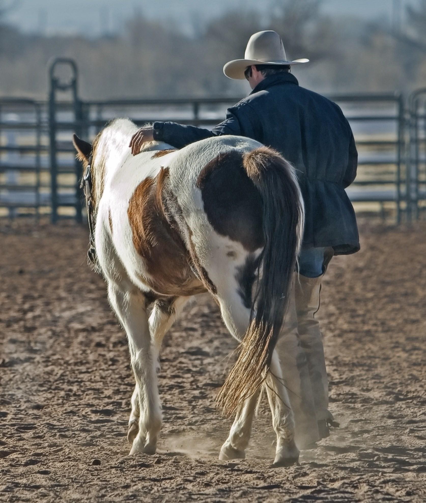 Country Cowboy Wallpapers - Top Free Country Cowboy Backgrounds ...