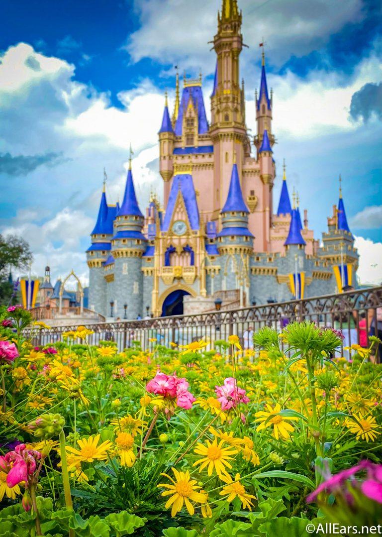 Disney Animal Kingdom Wallpapers - Top Free Disney Animal Kingdom ...