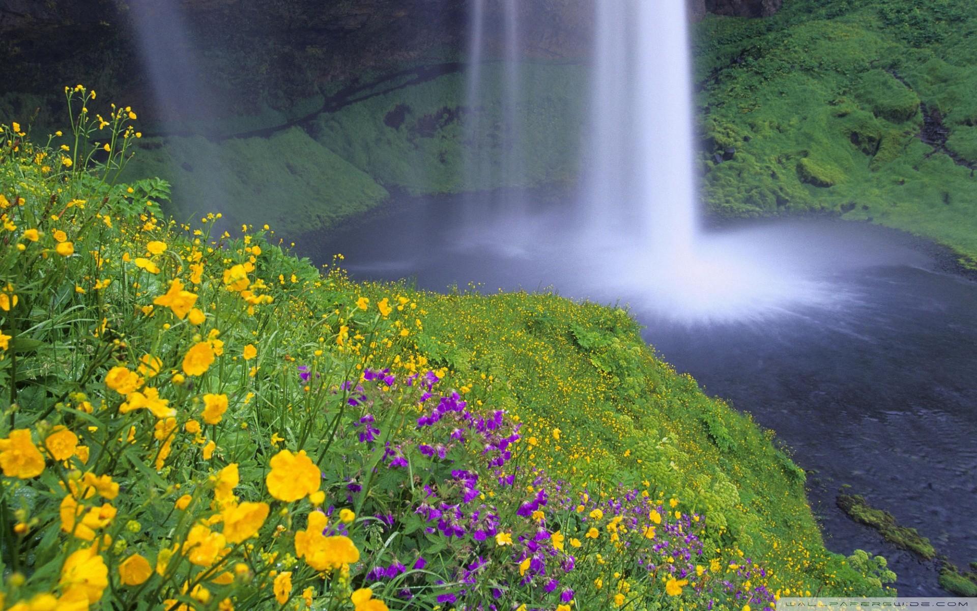 Flower Waterfall Wallpapers - Top Free Flower Waterfall Backgrounds ...