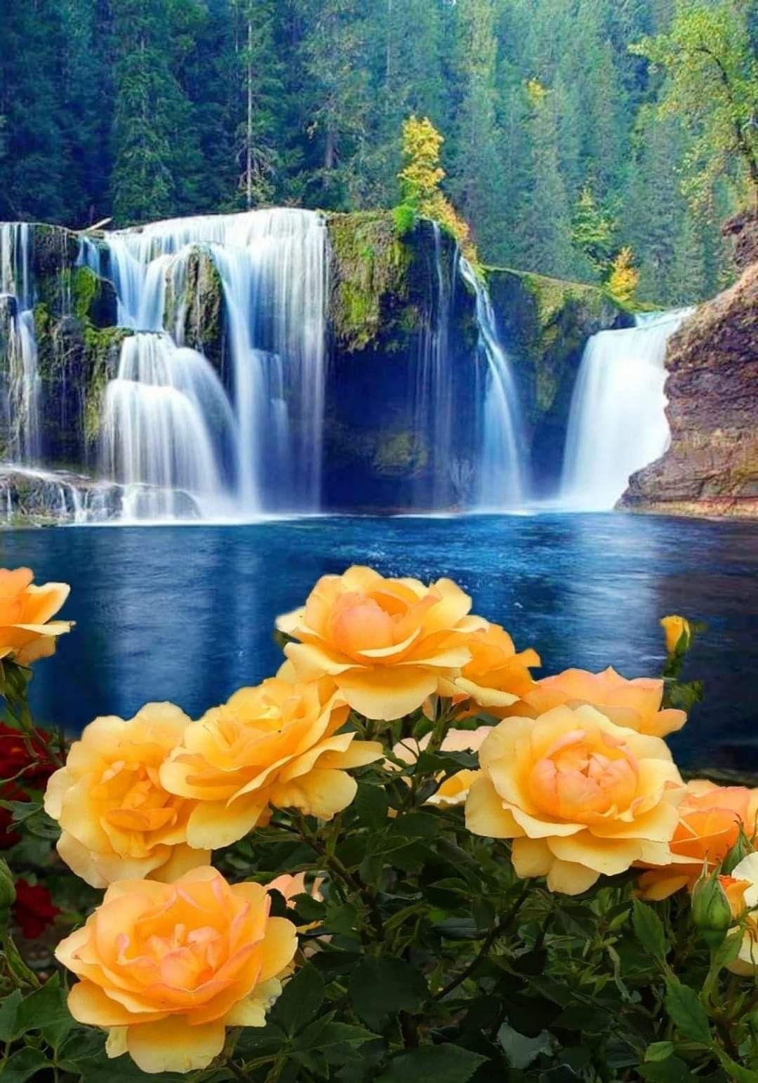 Flower Waterfall Wallpapers - Top Free Flower Waterfall Backgrounds ...