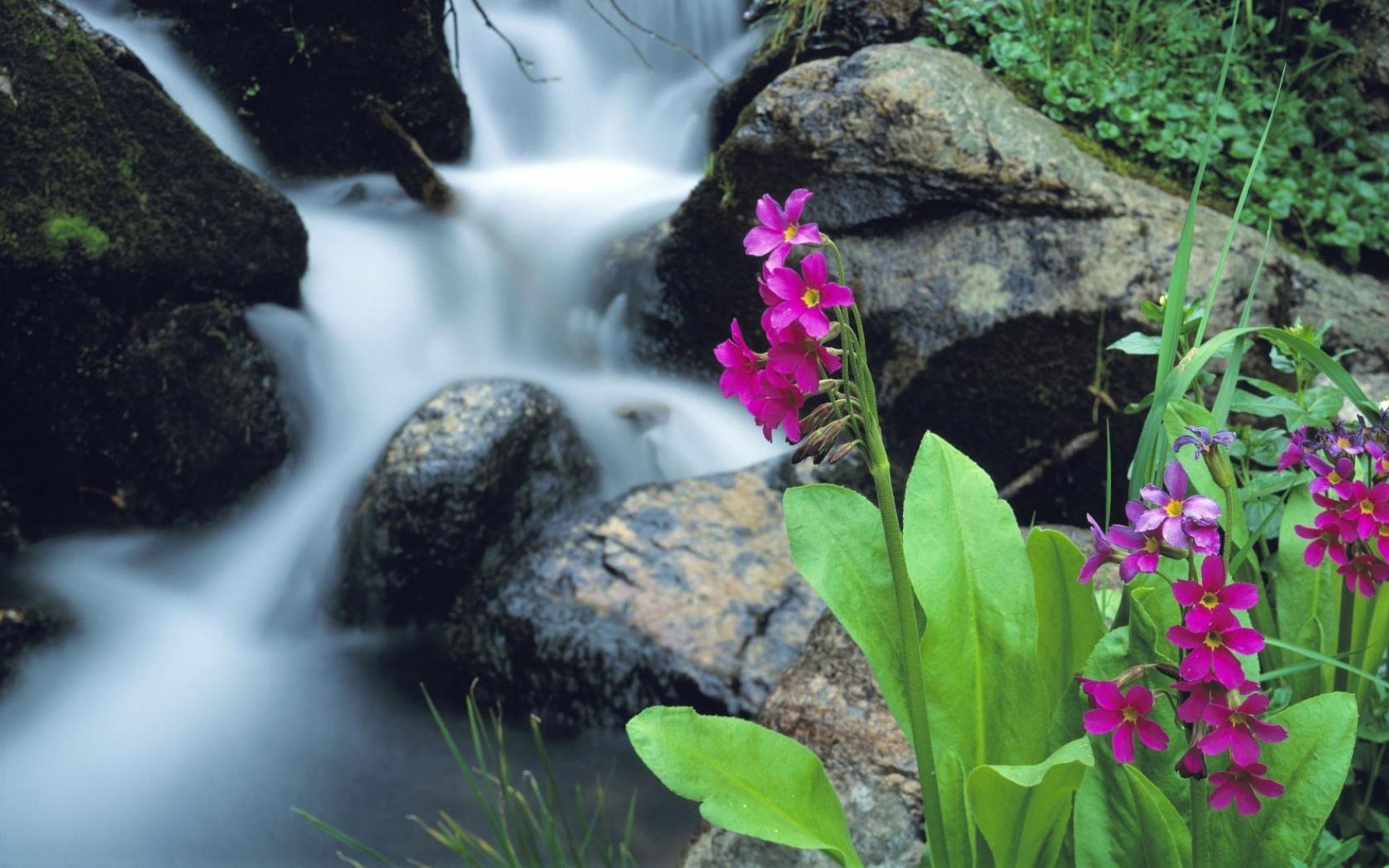 Flower Waterfall Wallpapers - Top Free Flower Waterfall Backgrounds ...
