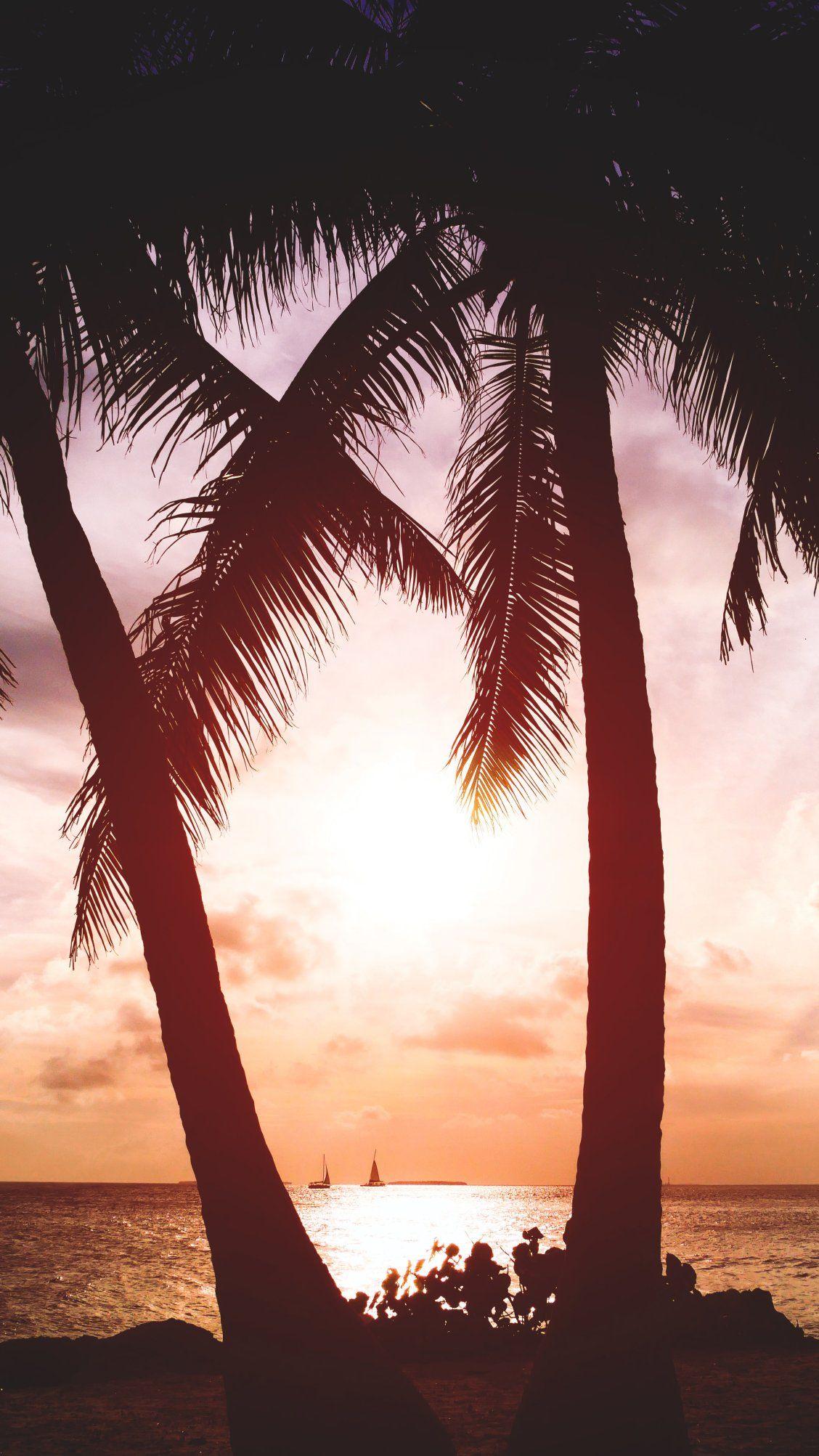 Key West Sunset Wallpapers - Top Free Key West Sunset Backgrounds ...