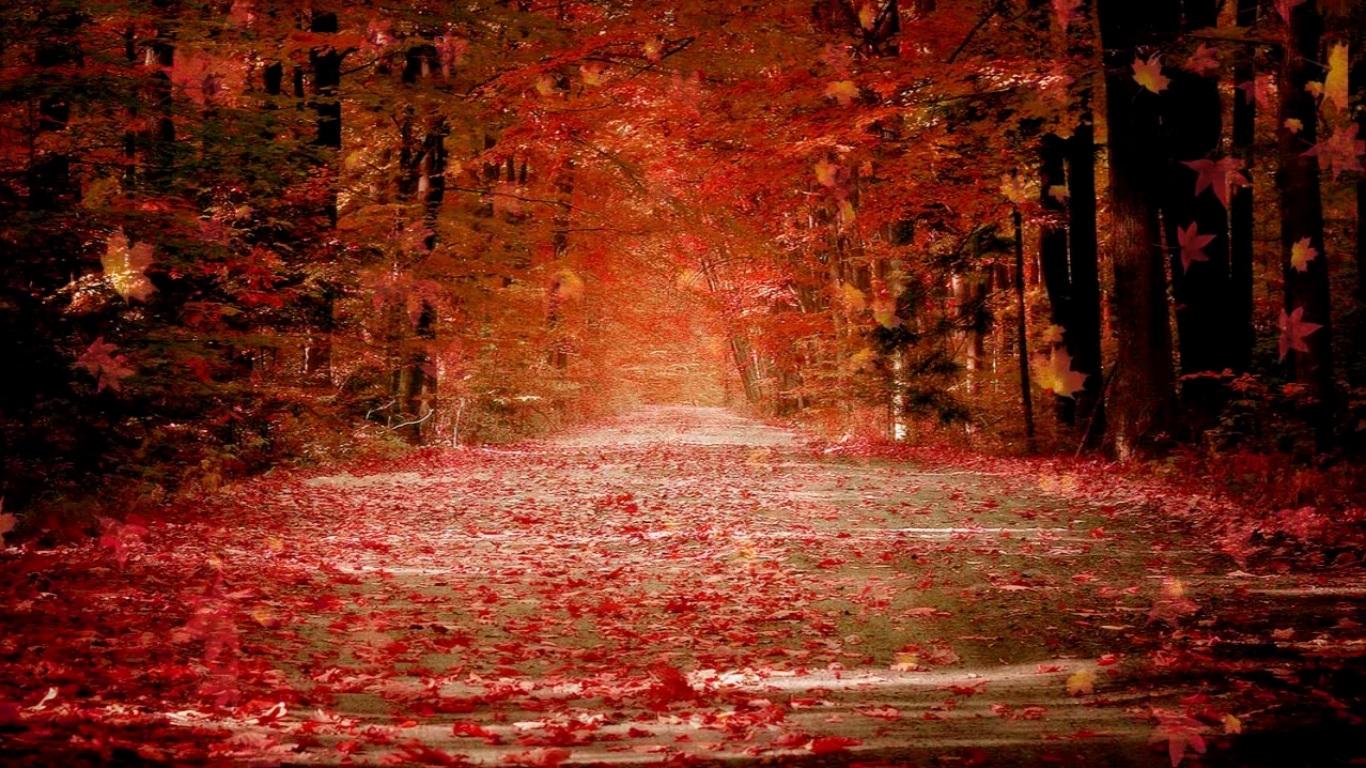 Autumn Dreams HD Wallpapers - Top Free Autumn Dreams HD Backgrounds ...