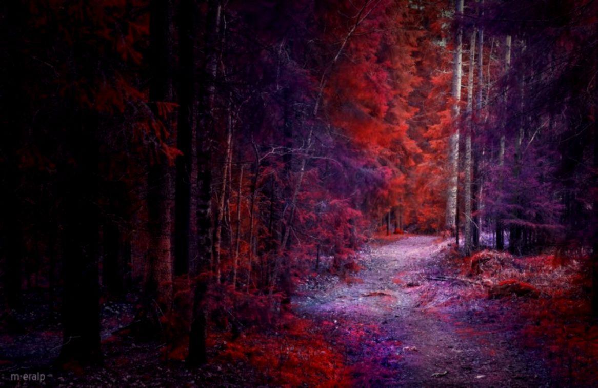 Autumn Dreams HD Wallpapers - Top Free Autumn Dreams HD Backgrounds ...