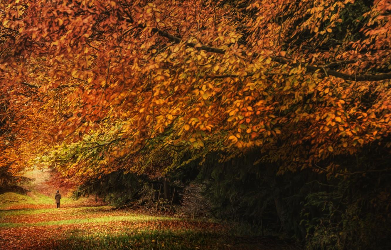 Autumn Dreams HD Wallpapers - Top Free Autumn Dreams HD Backgrounds ...