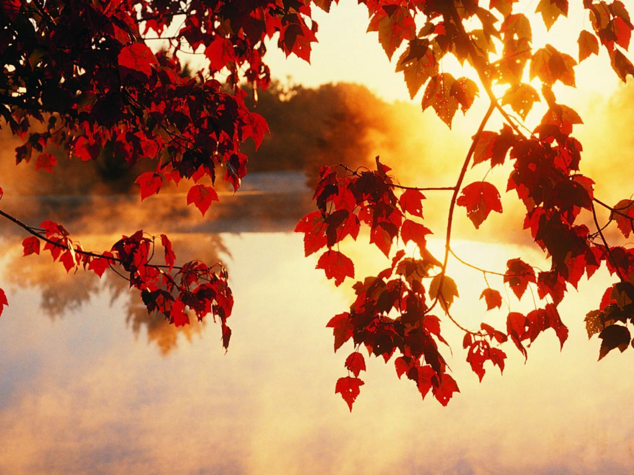 HD Awesome Autumn Wallpapers - Top Free HD Awesome Autumn Backgrounds ...