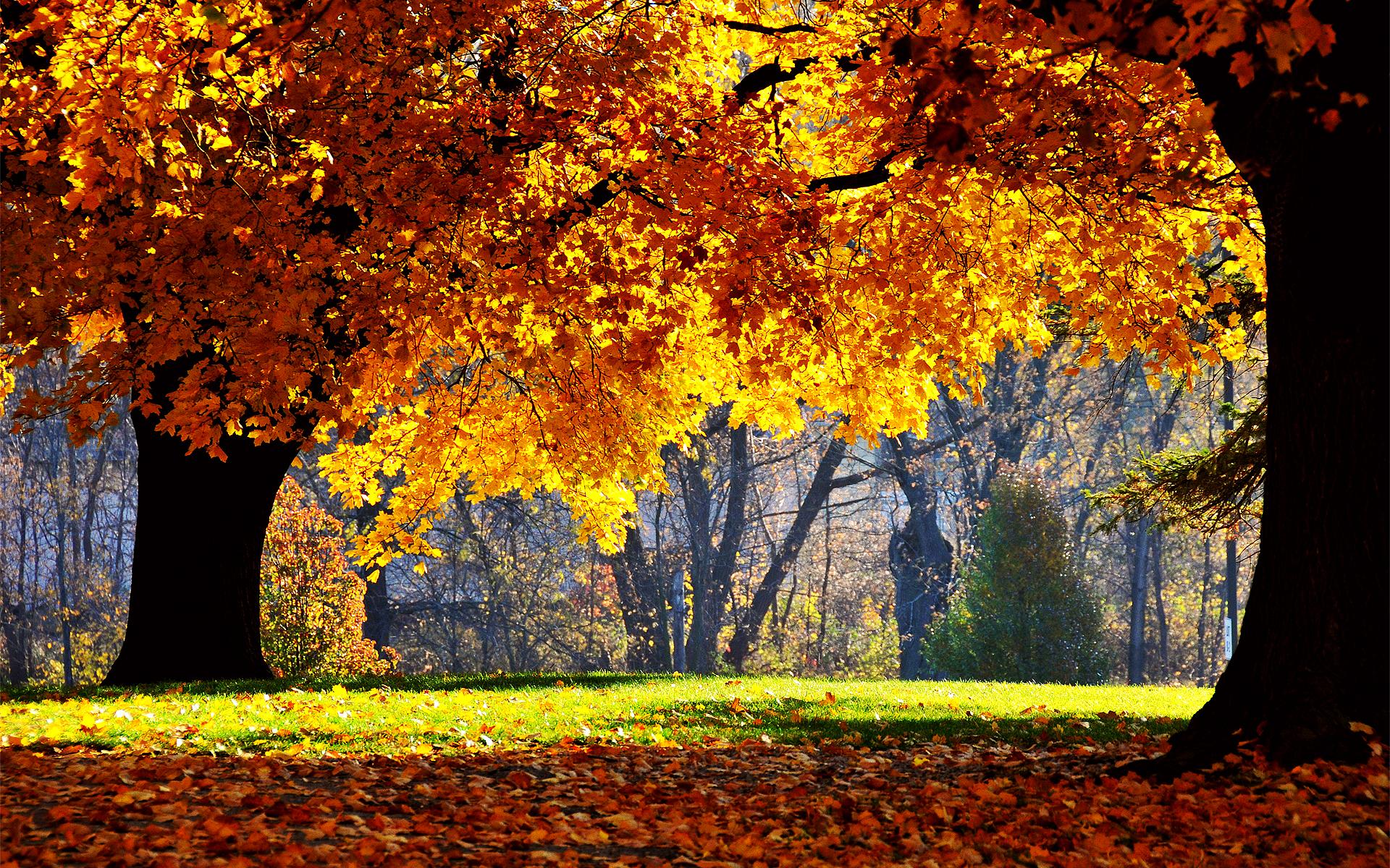HD Awesome Autumn Wallpapers - Top Free HD Awesome Autumn Backgrounds ...