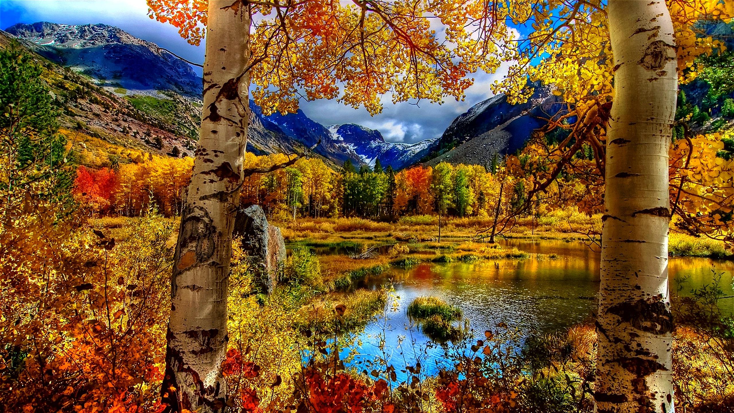 Amazing Autumn HD Wallpapers - Top Free Amazing Autumn HD Backgrounds ...
