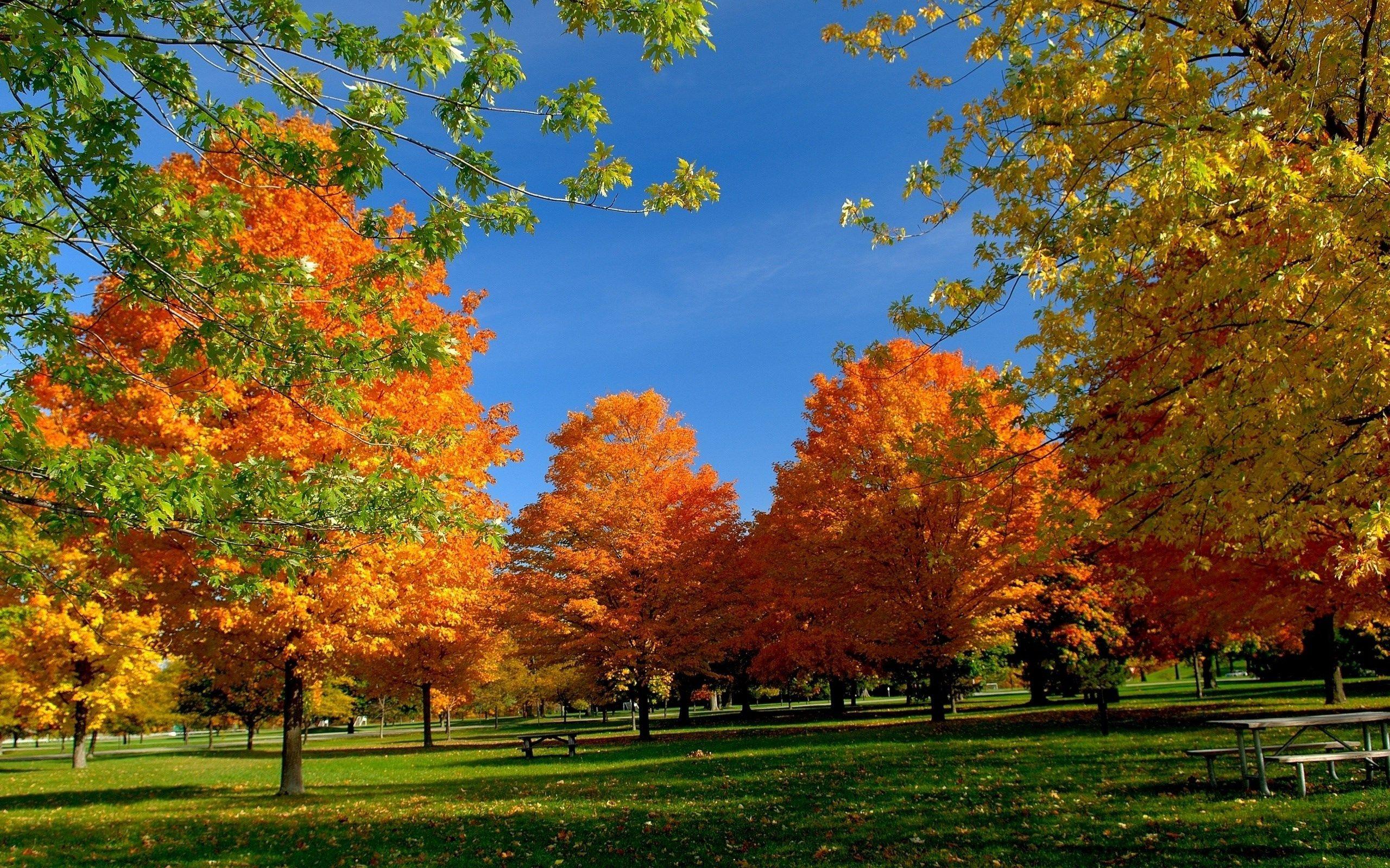 Amazing Autumn HD Wallpapers - Top Free Amazing Autumn HD Backgrounds ...