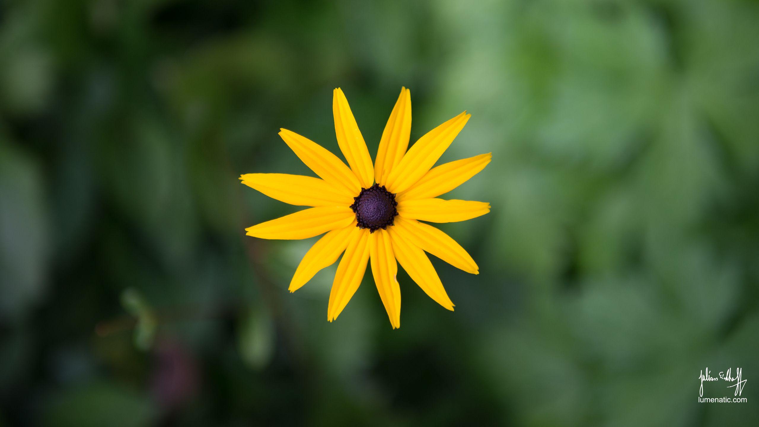 Eye Soothing Wallpapers - Top Free Eye Soothing Backgrounds ...