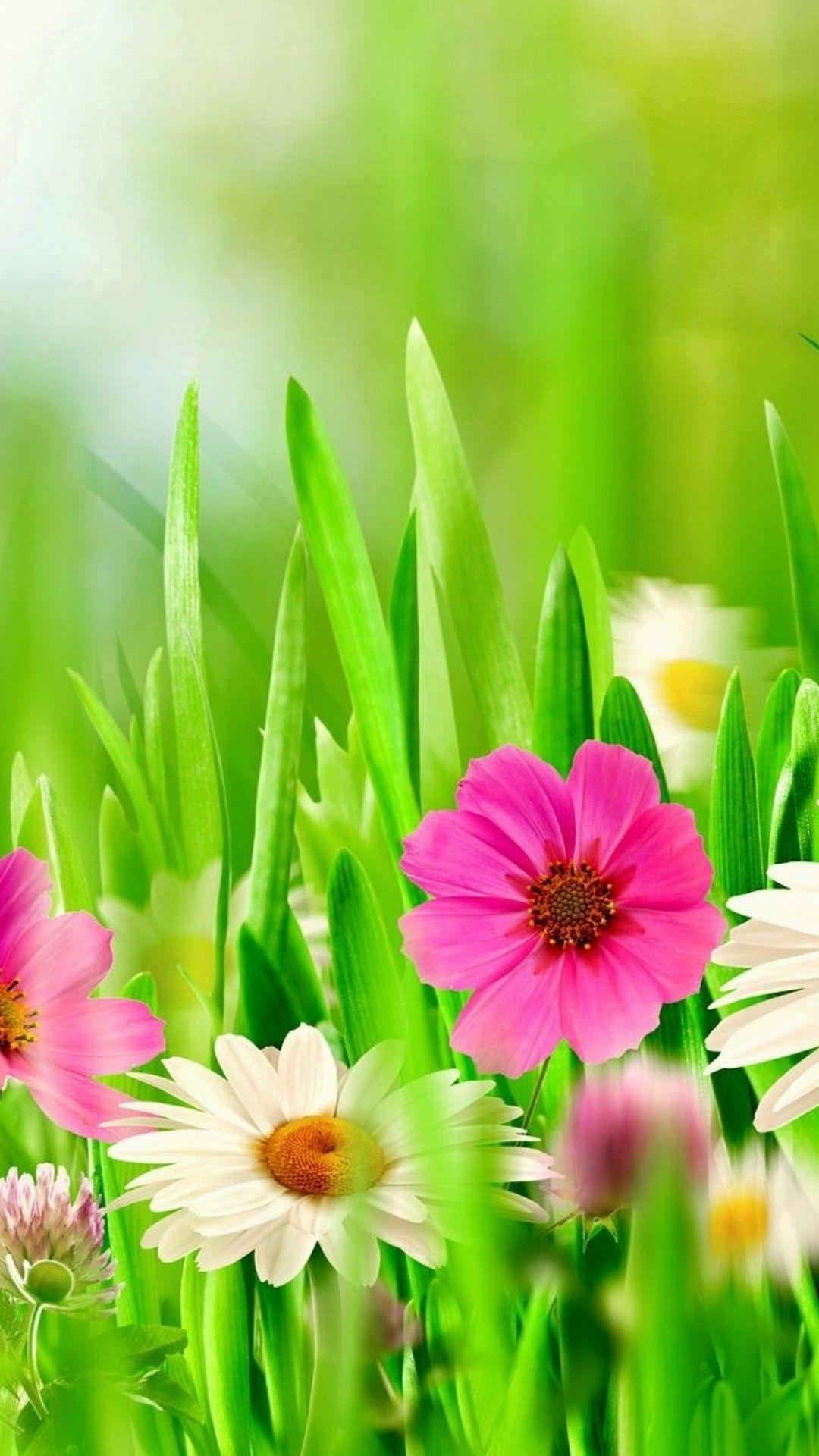 3D Spring Flower Wallpapers - Top Free 3D Spring Flower Backgrounds ...