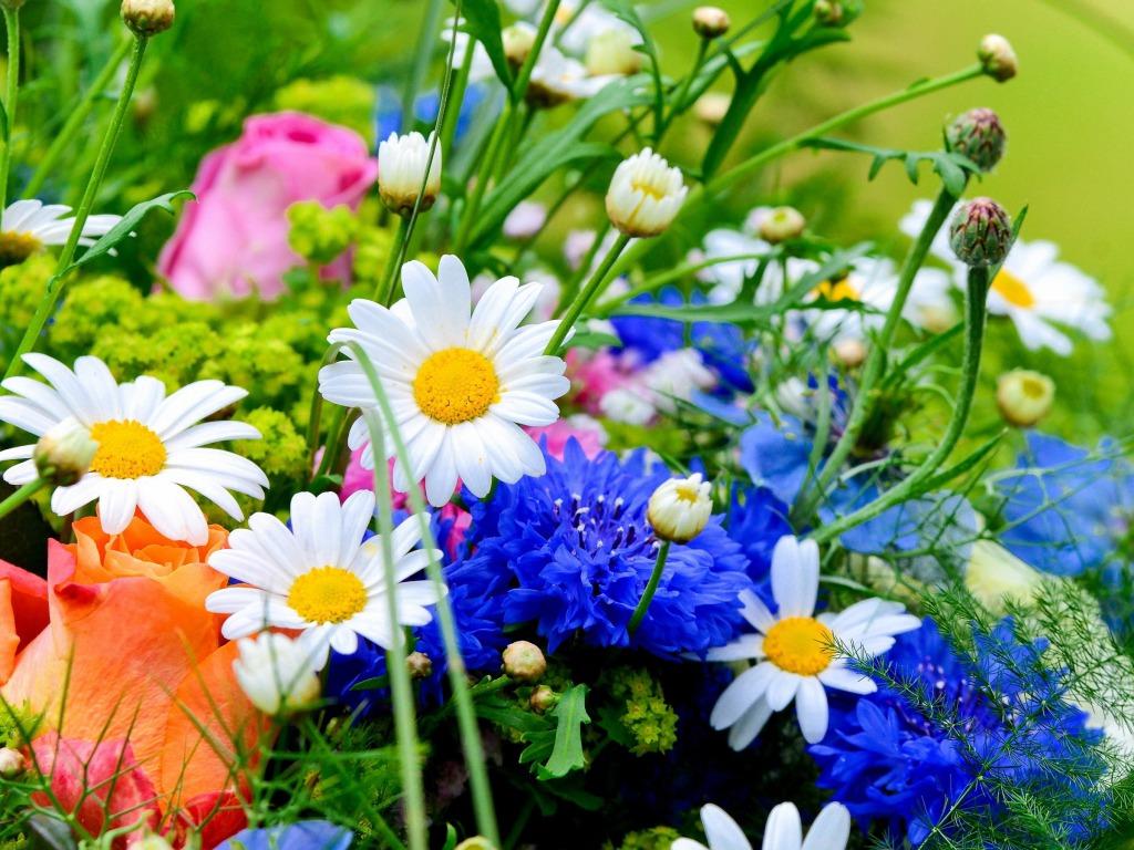 3D Spring Flower Wallpapers - Top Free 3D Spring Flower Backgrounds ...