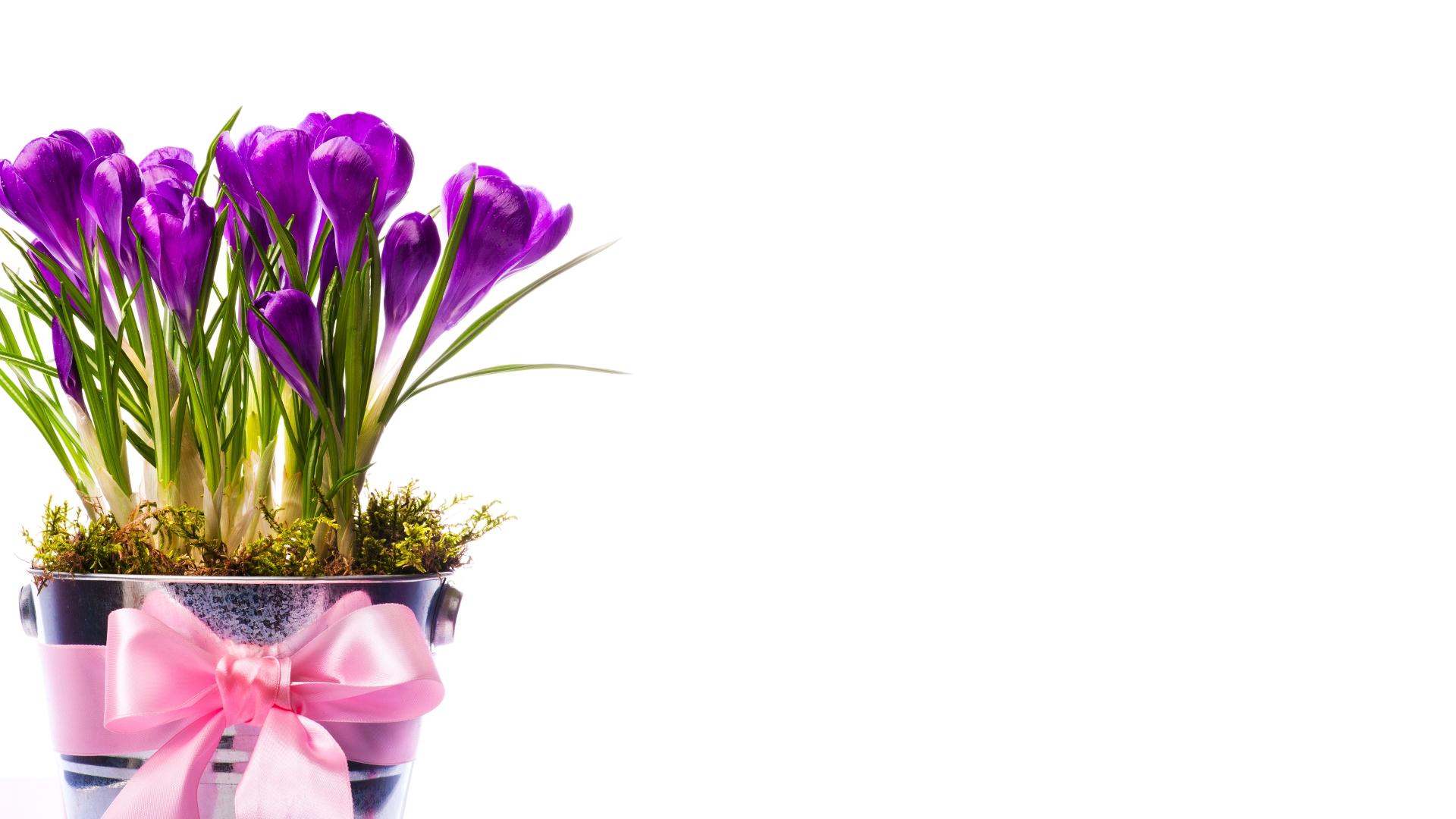 Abstract Spring Flowers Wallpapers - Top Free Abstract Spring Flowers ...