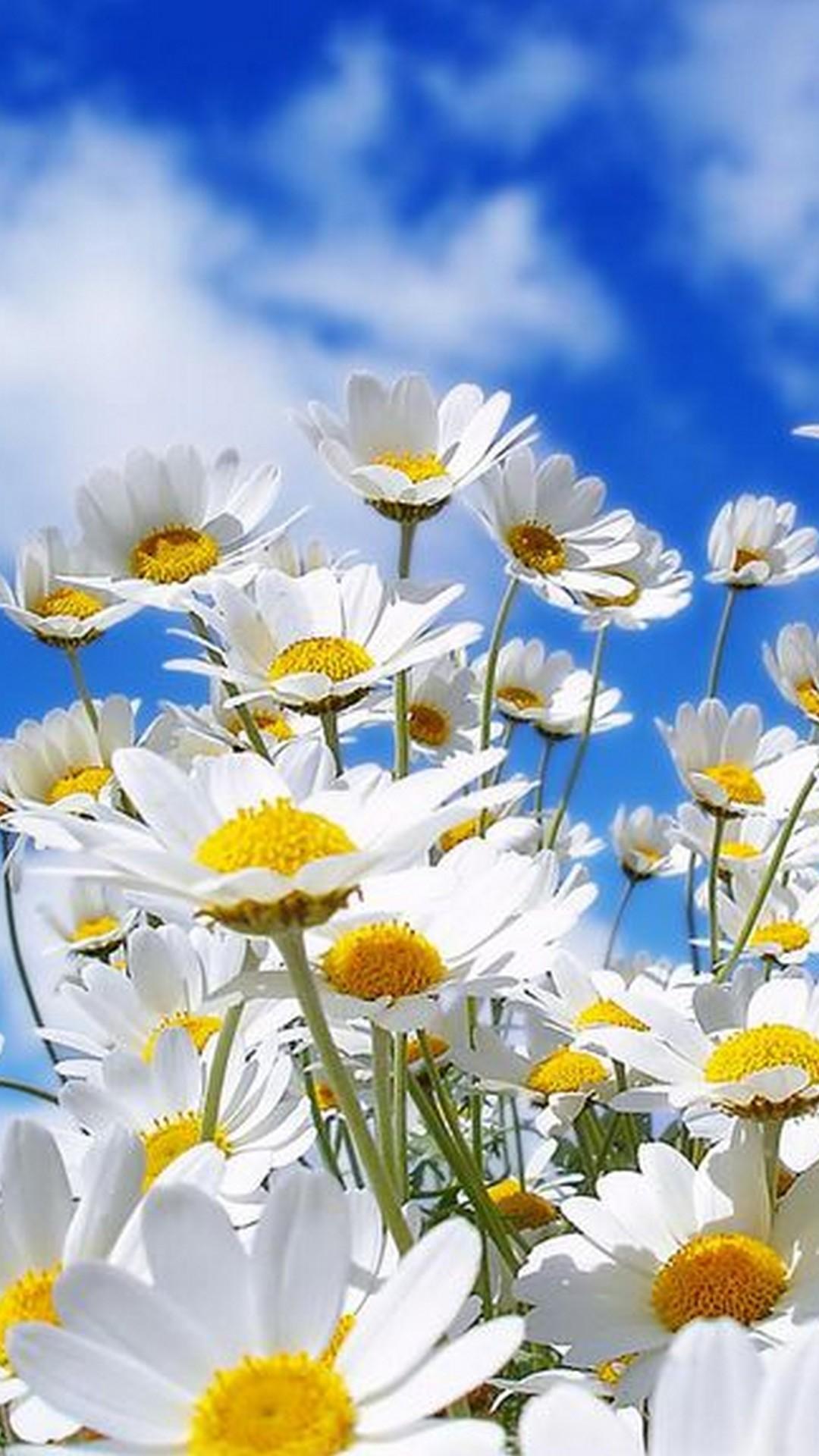 3D Spring Flower Wallpapers - Top Free 3D Spring Flower Backgrounds ...