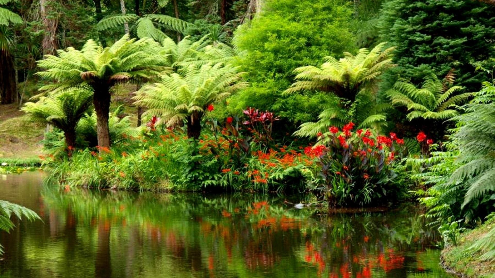 1920X1080 Plant Wallpapers - Top Free 1920X1080 Plant Backgrounds ...