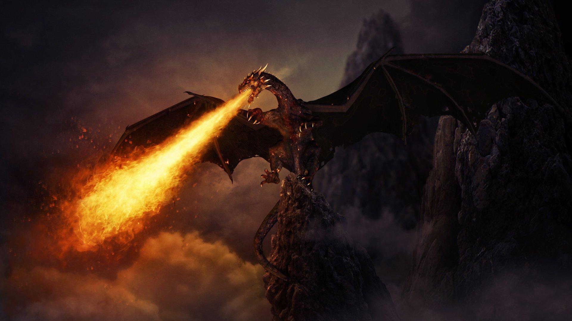 Black Fire Dragon Wallpapers - Top Free Black Fire Dragon Backgrounds ...