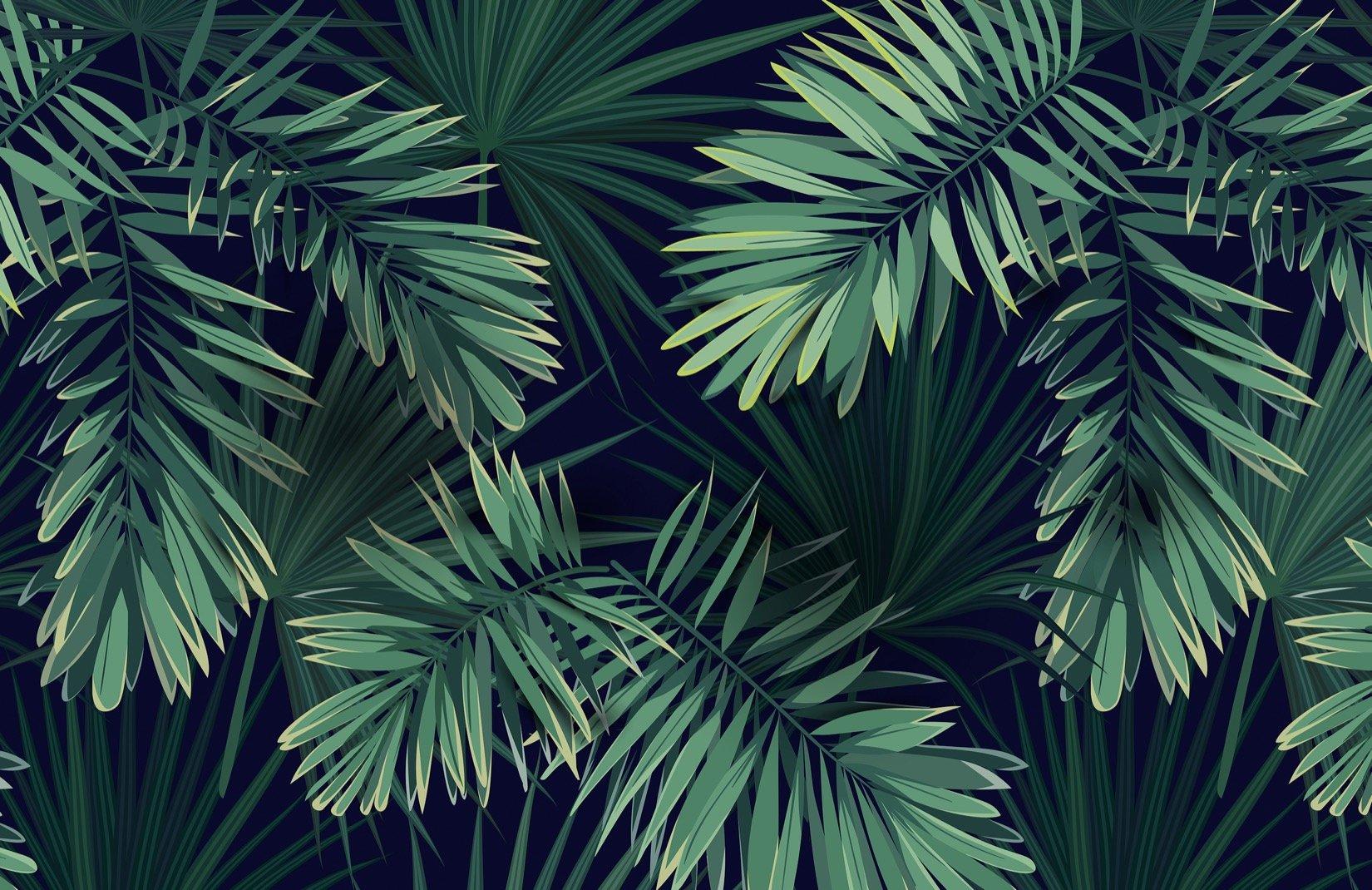 Green Plant Desktop Wallpapers - Top Free Green Plant Desktop ...