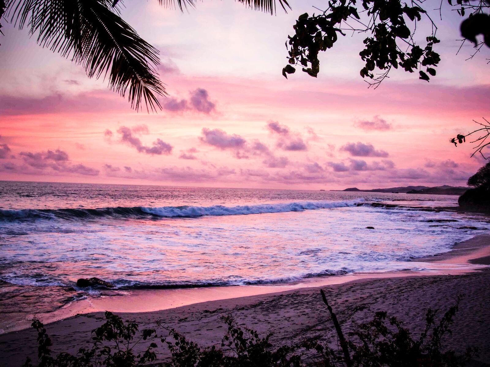 Ocean Palm Tree Wallpapers - Top Free Ocean Palm Tree Backgrounds ...