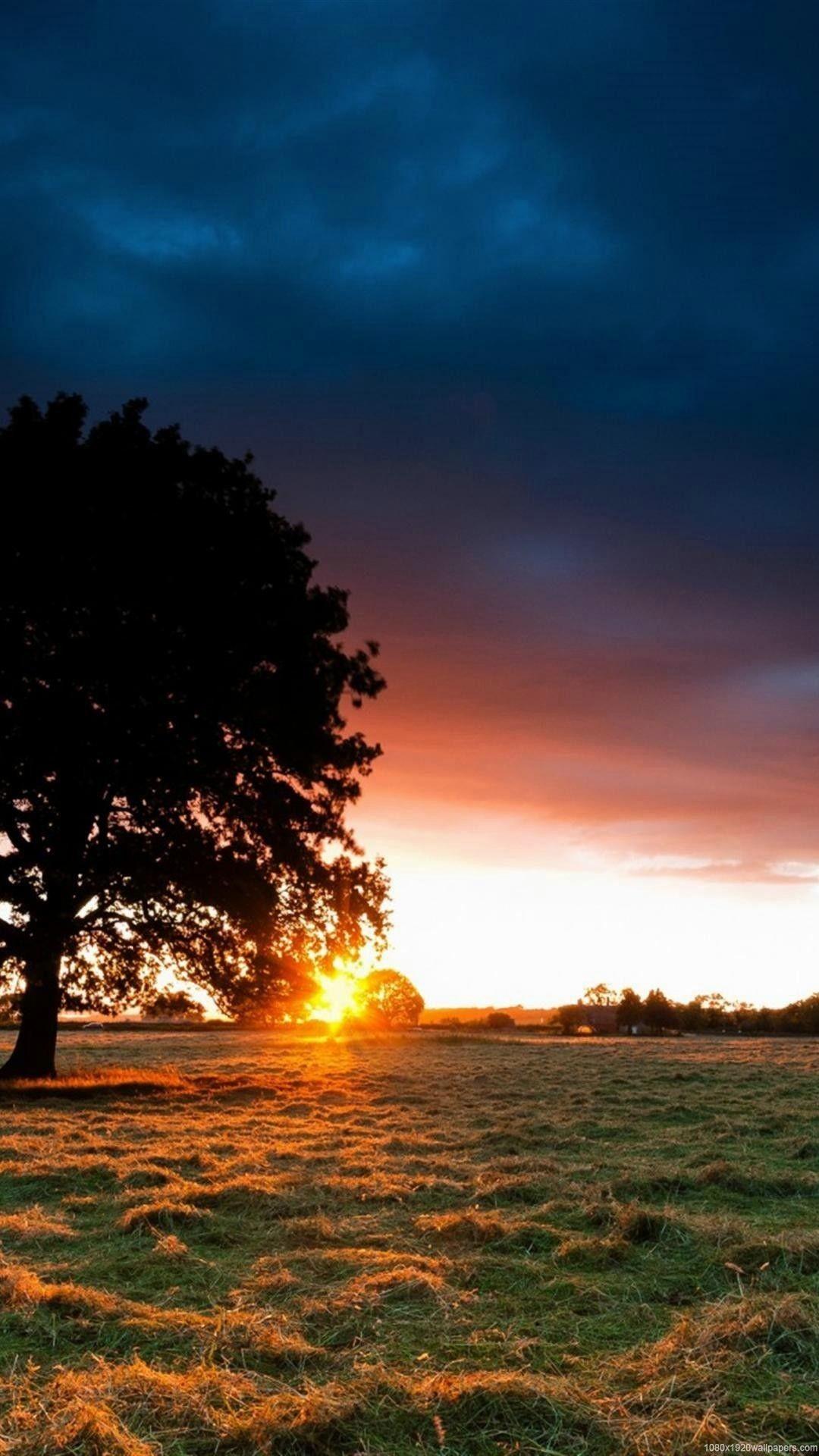 Nature Mobile Wallpapers - Top Free Nature Mobile Backgrounds ...