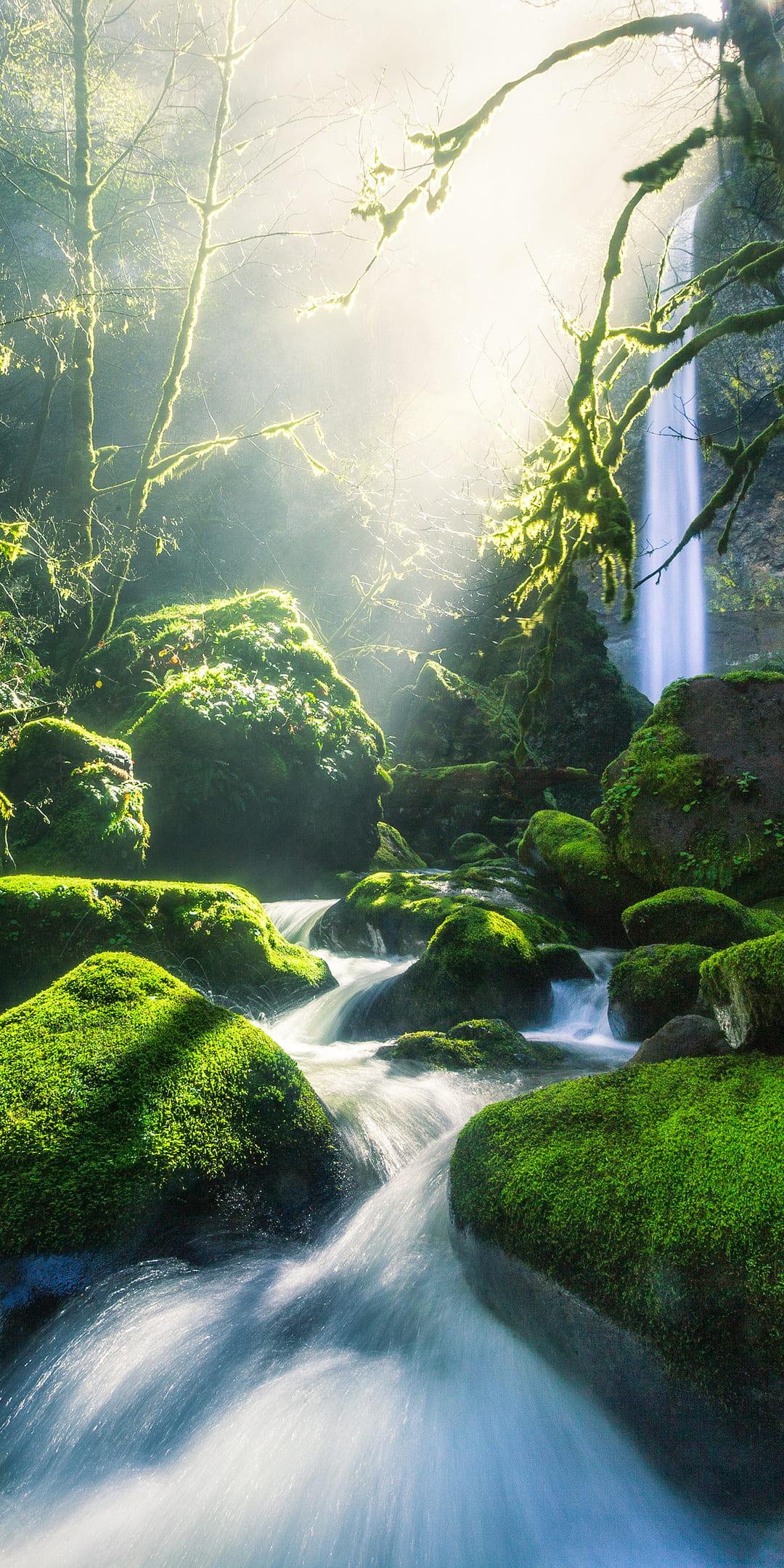 Nature Mobile Wallpapers - Top Free Nature Mobile Backgrounds ...