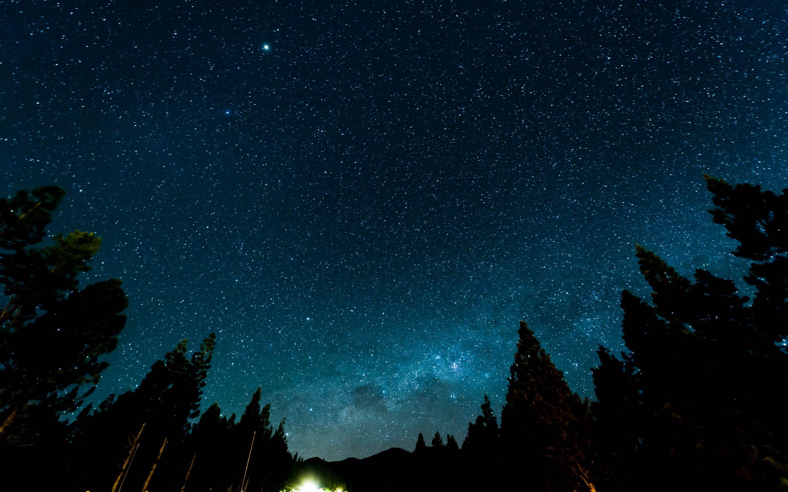 Forest Stars Wallpapers - Top Free Forest Stars Backgrounds ...