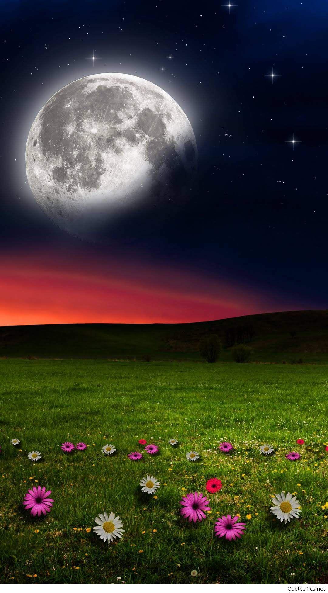 Nature Mobile Wallpapers - Top Free Nature Mobile Backgrounds ...