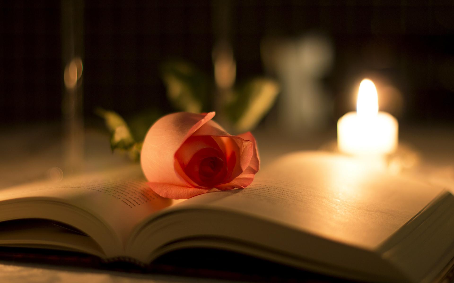 Open Bible Desktop Wallpapers - Top Free Open Bible Desktop Backgrounds ...