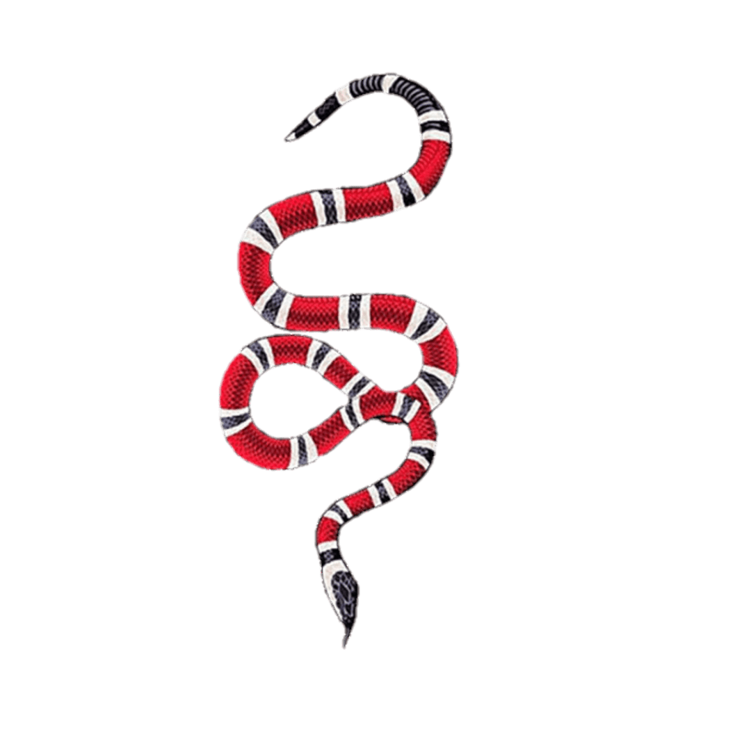 1080X1080 Gucci Wallpapers - Top Free 1080X1080 Gucci Backgrounds ...