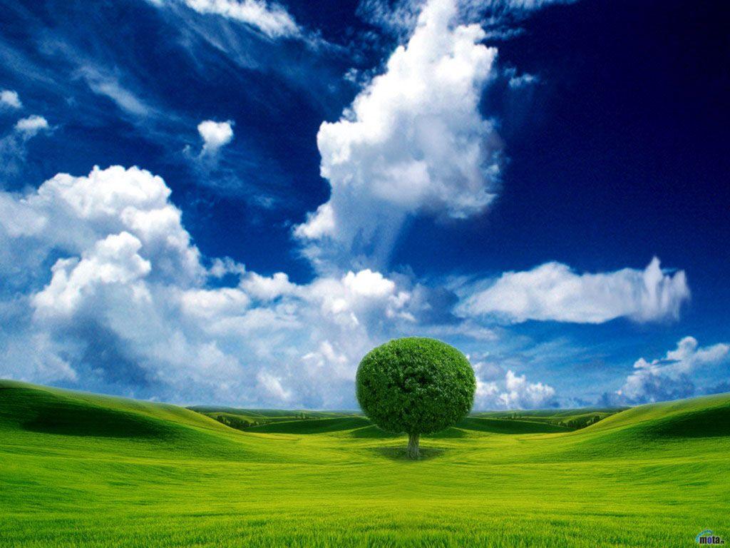 Sky and Tree Wallpapers - Top Free Sky and Tree Backgrounds ...