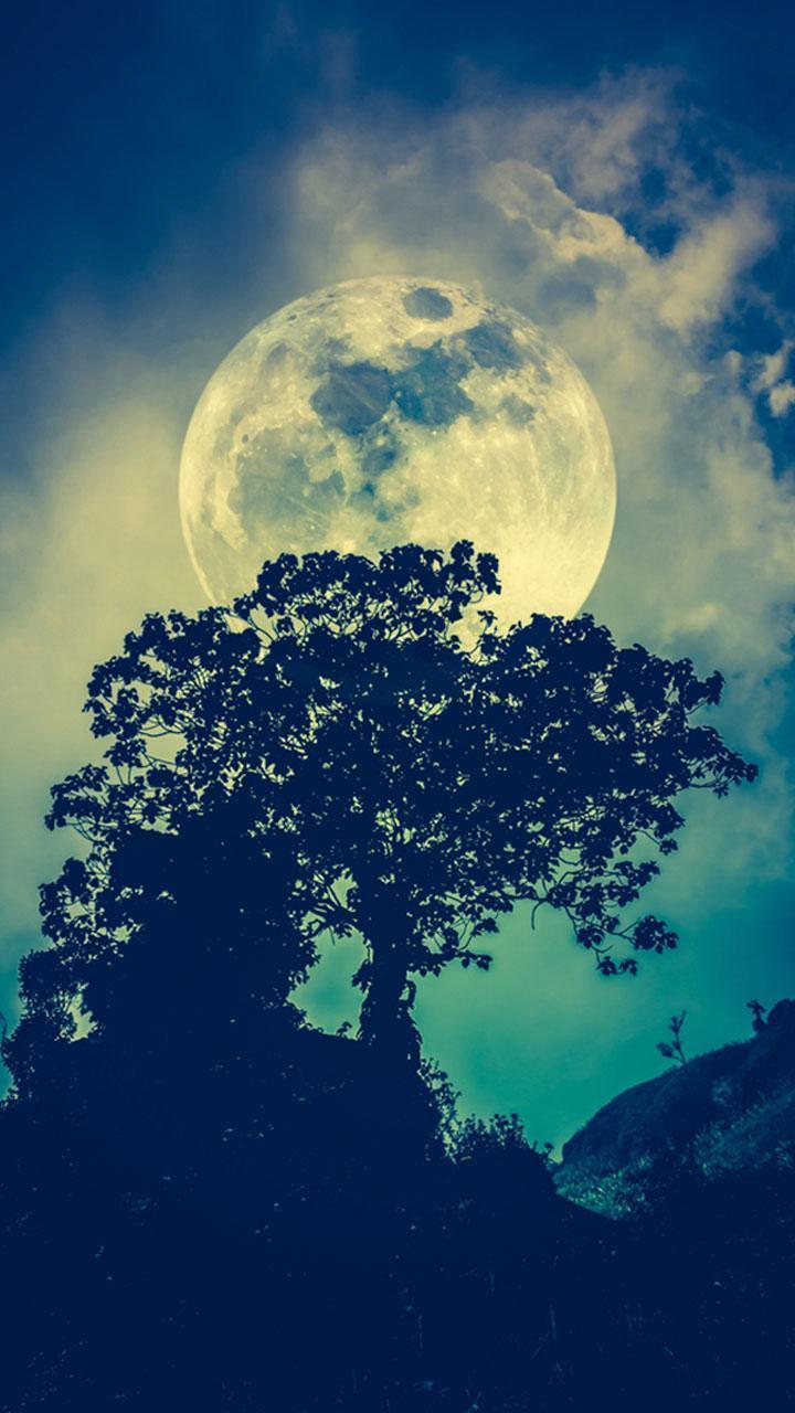 Moonlight Nature Wallpapers - Top Free Moonlight Nature Backgrounds ...