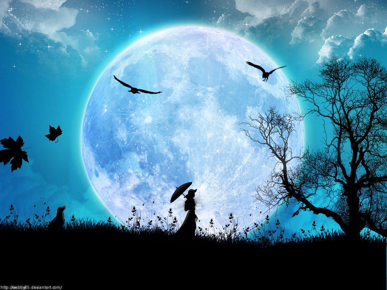 Moonlight Nature Wallpapers - Top Free Moonlight Nature Backgrounds ...
