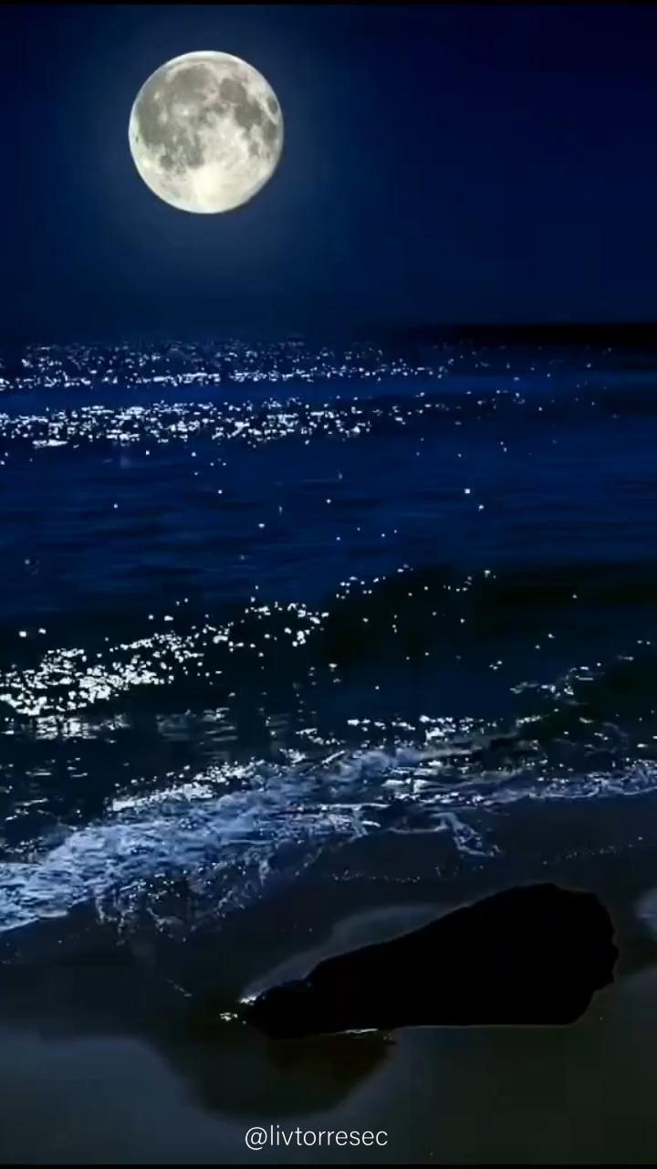 Sea Moon Wallpapers - Top Free Sea Moon Backgrounds - WallpaperAccess