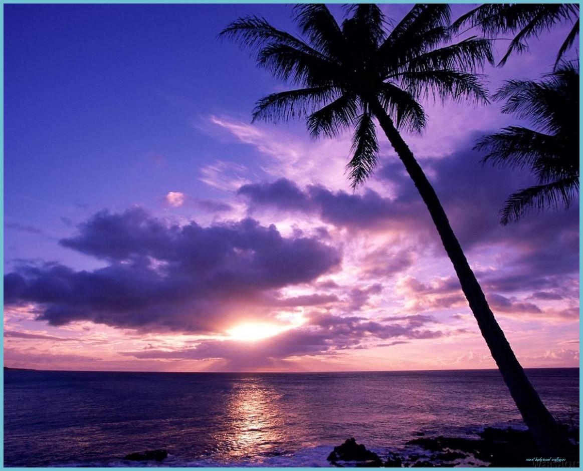 Easter Sunset Wallpapers - Top Free Easter Sunset Backgrounds ...