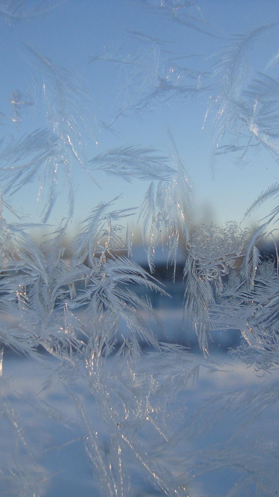 Frosted Glass Wallpapers - Top Free Frosted Glass Backgrounds ...