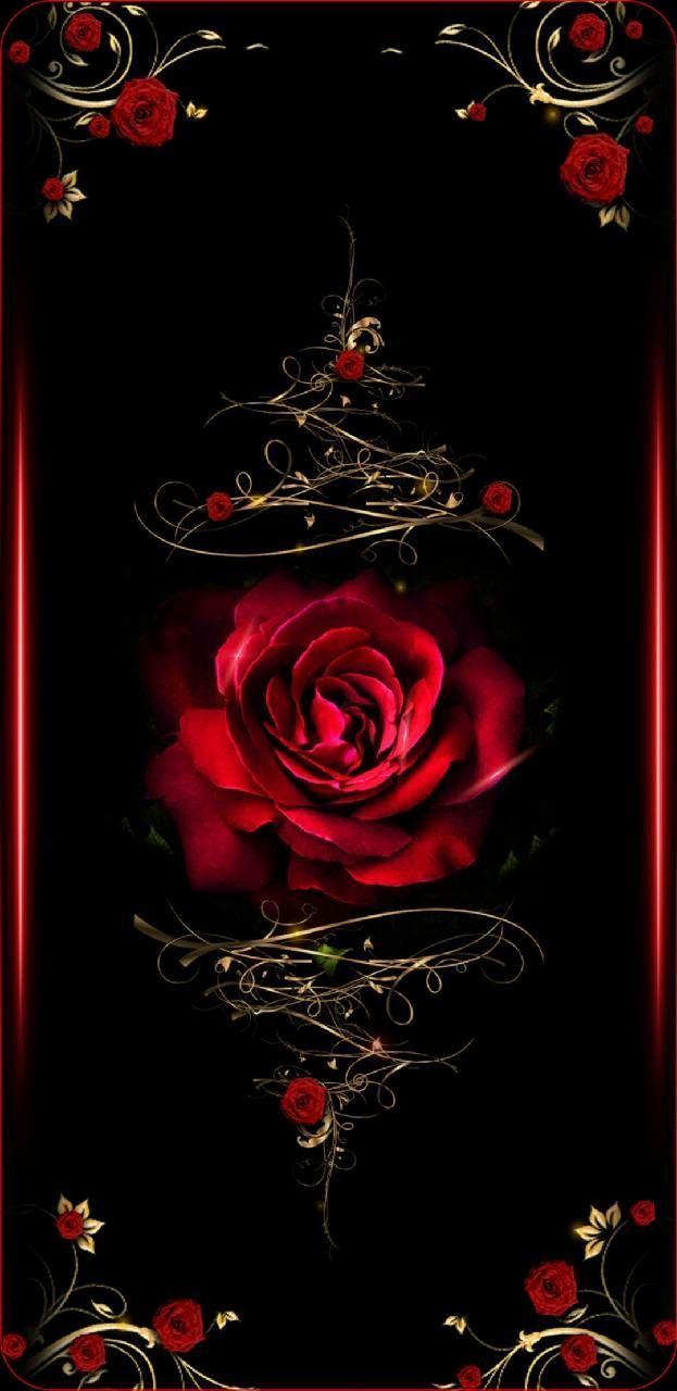 Gothic Rose Wallpapers - Top Free Gothic Rose Backgrounds - WallpaperAccess
