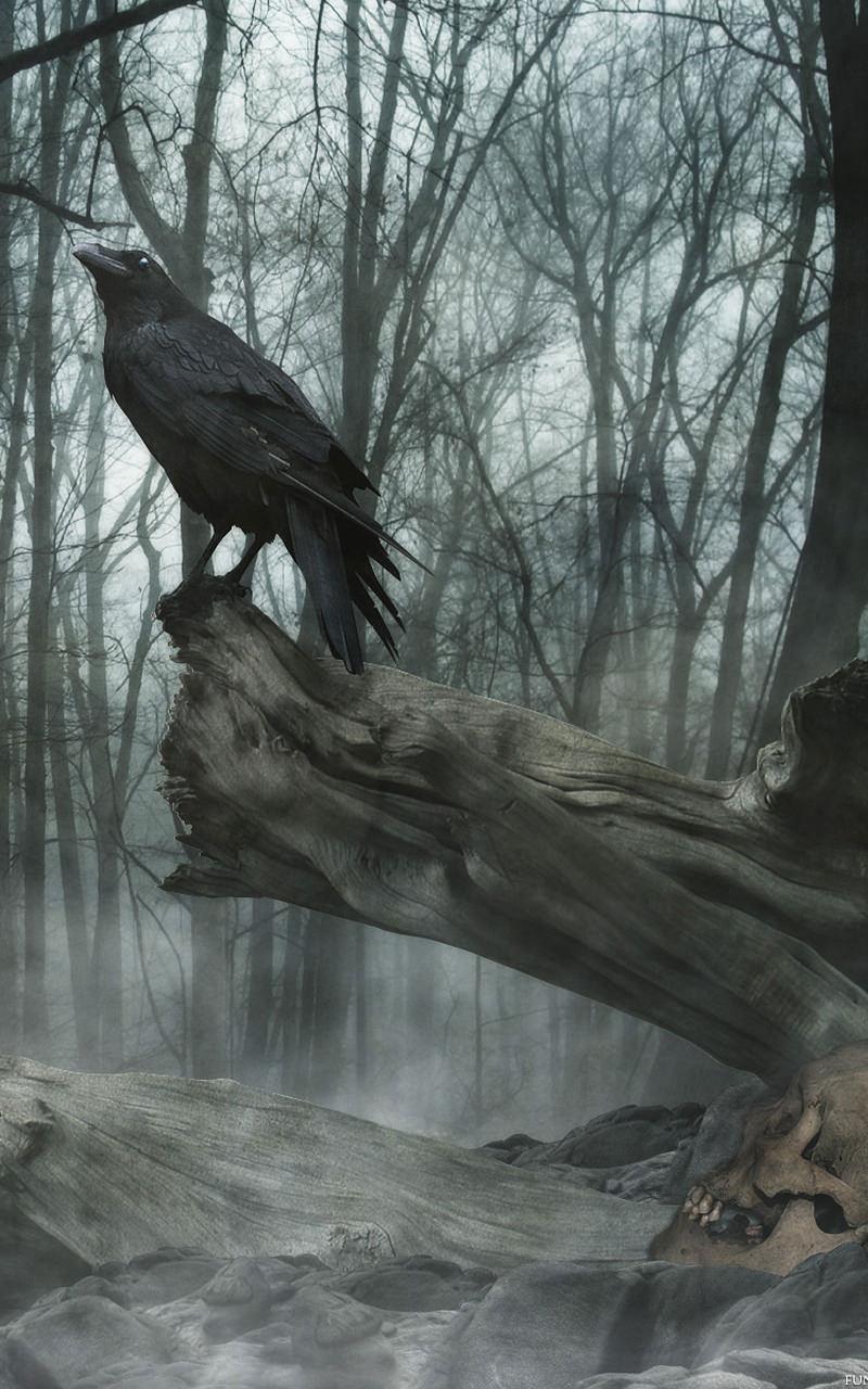 Gothic Raven Wallpapers - Top Free Gothic Raven Backgrounds ...