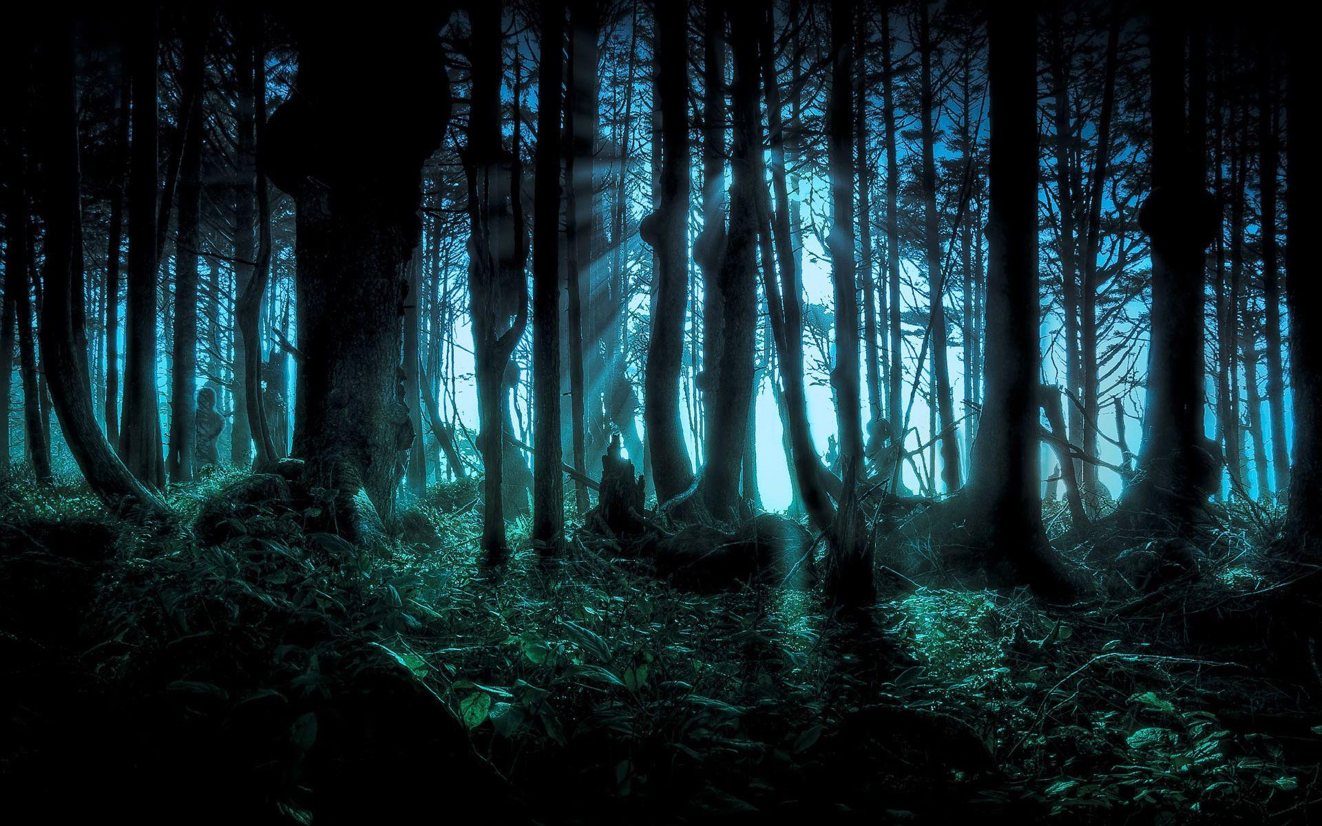 Dark Tree HD Wallpapers - Top Free Dark Tree HD Backgrounds ...
