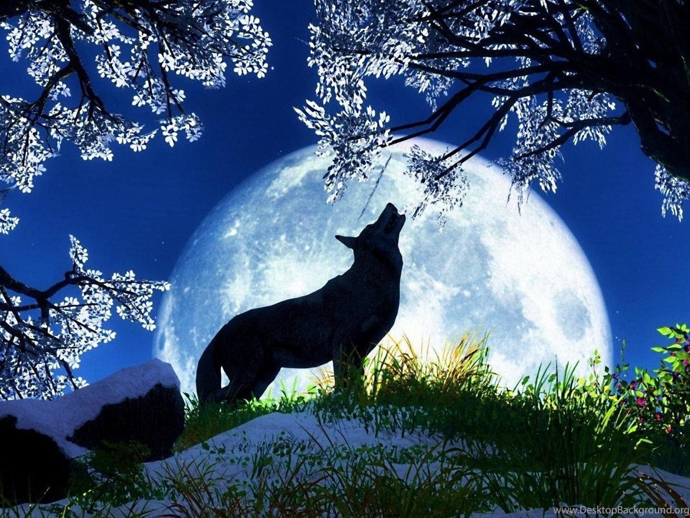 Wolf and Moon Wallpapers - Top Free Wolf and Moon Backgrounds - WallpaperAccess