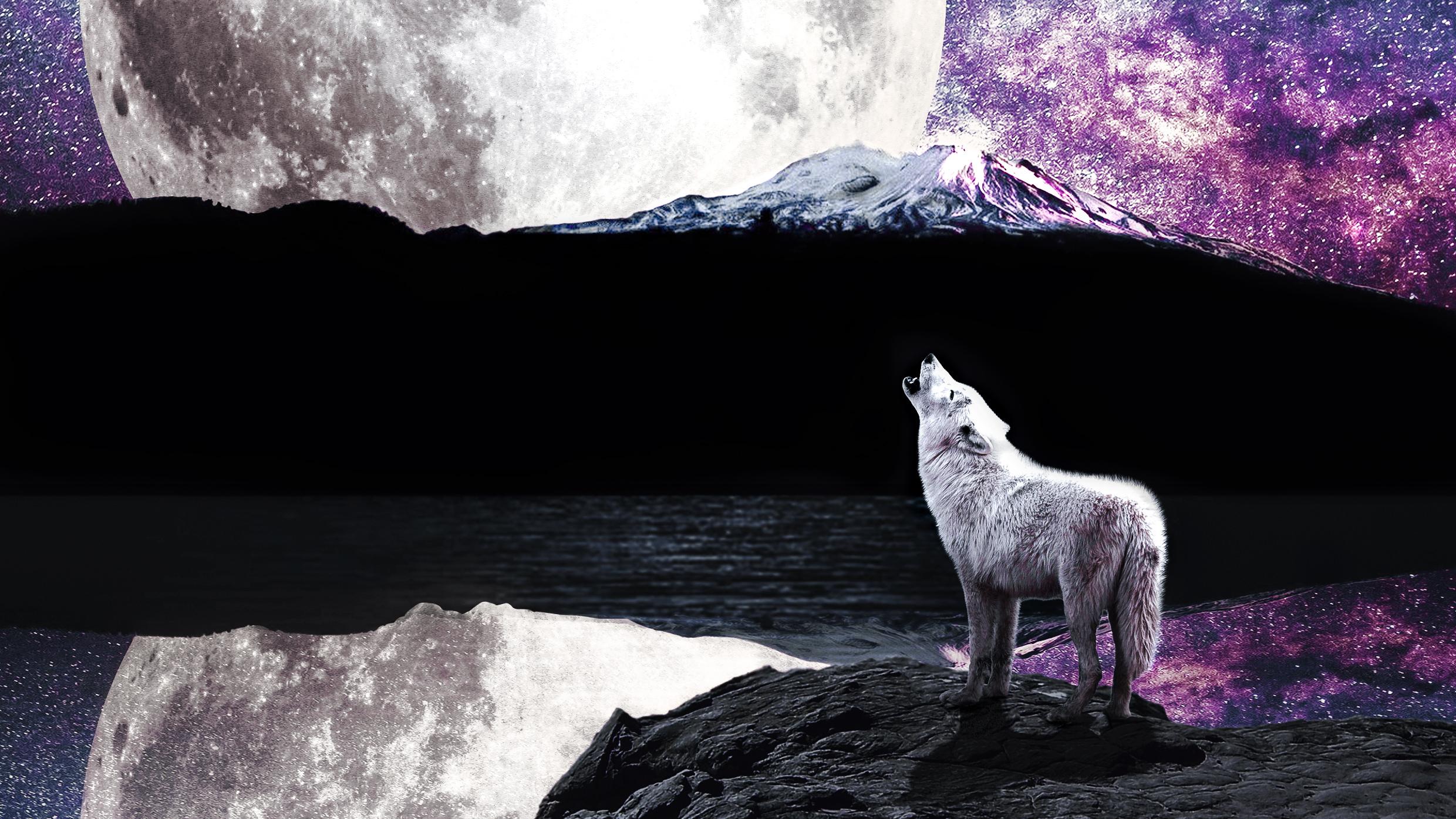 Wolf and Moon Wallpapers - Top Free Wolf and Moon Backgrounds ...
