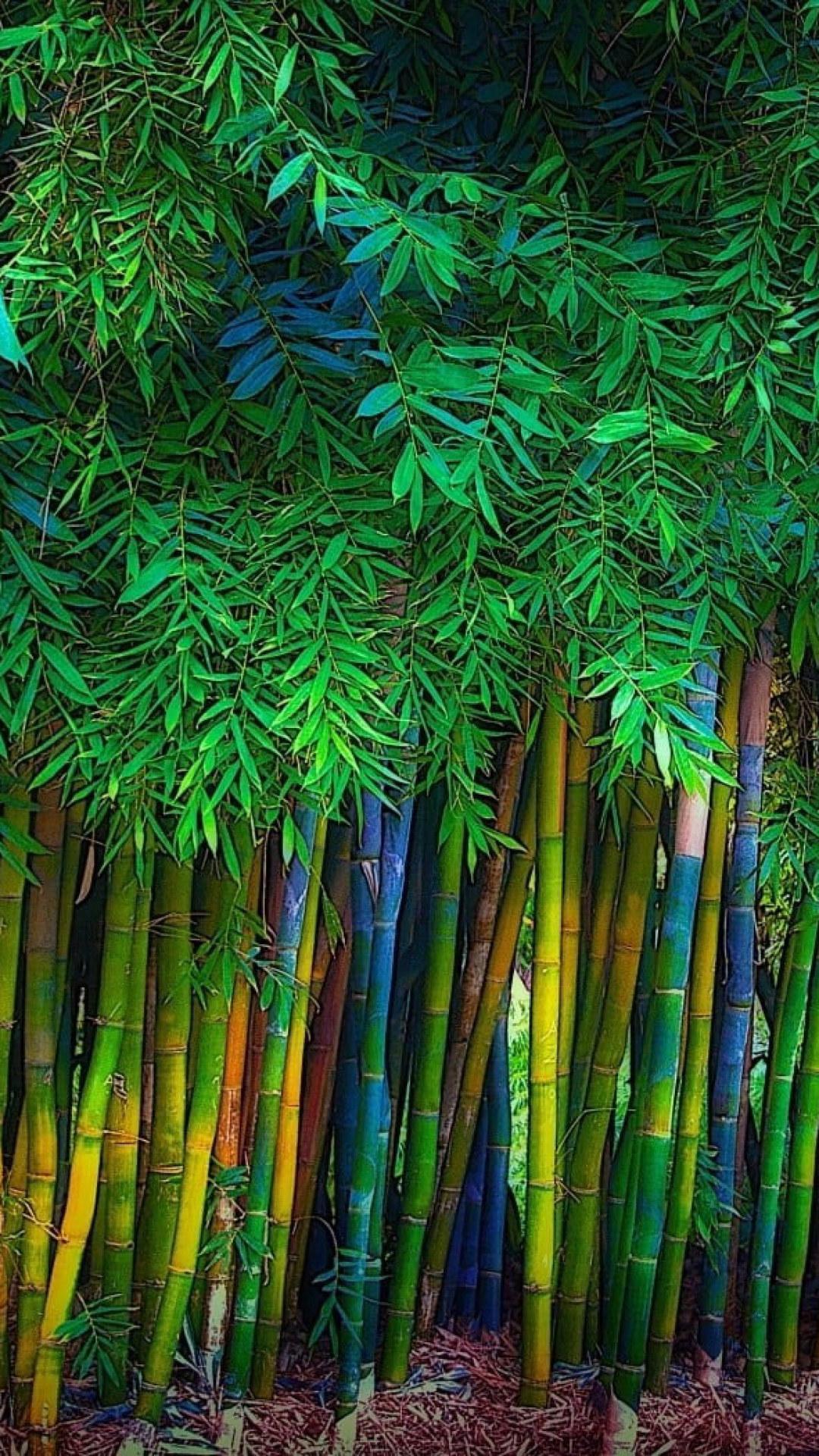 Bamboo Leaves Wallpapers - Top Free Bamboo Leaves Backgrounds ...