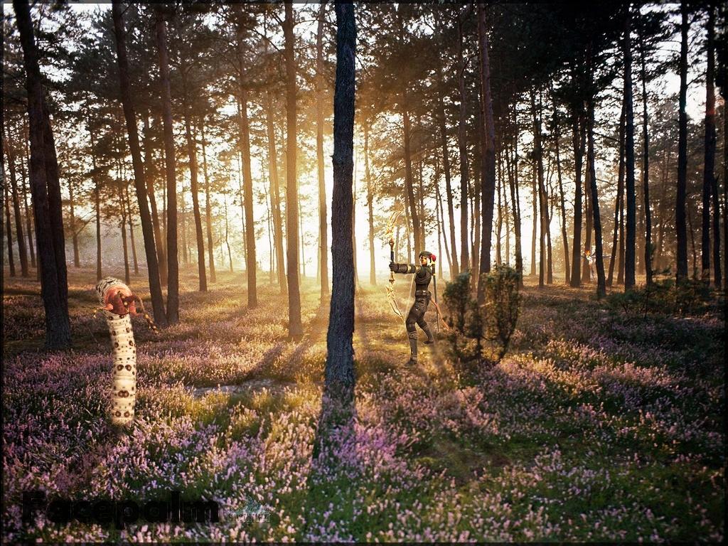 FFXI Wallpapers - Top Free FFXI Backgrounds - WallpaperAccess